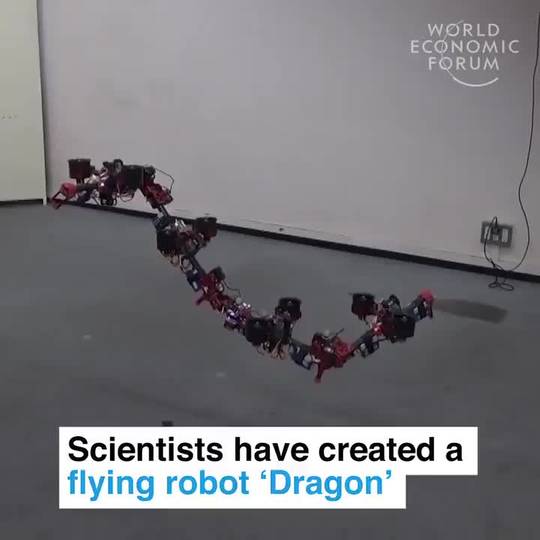 And thus Cyber Dragon was born | Scrolller