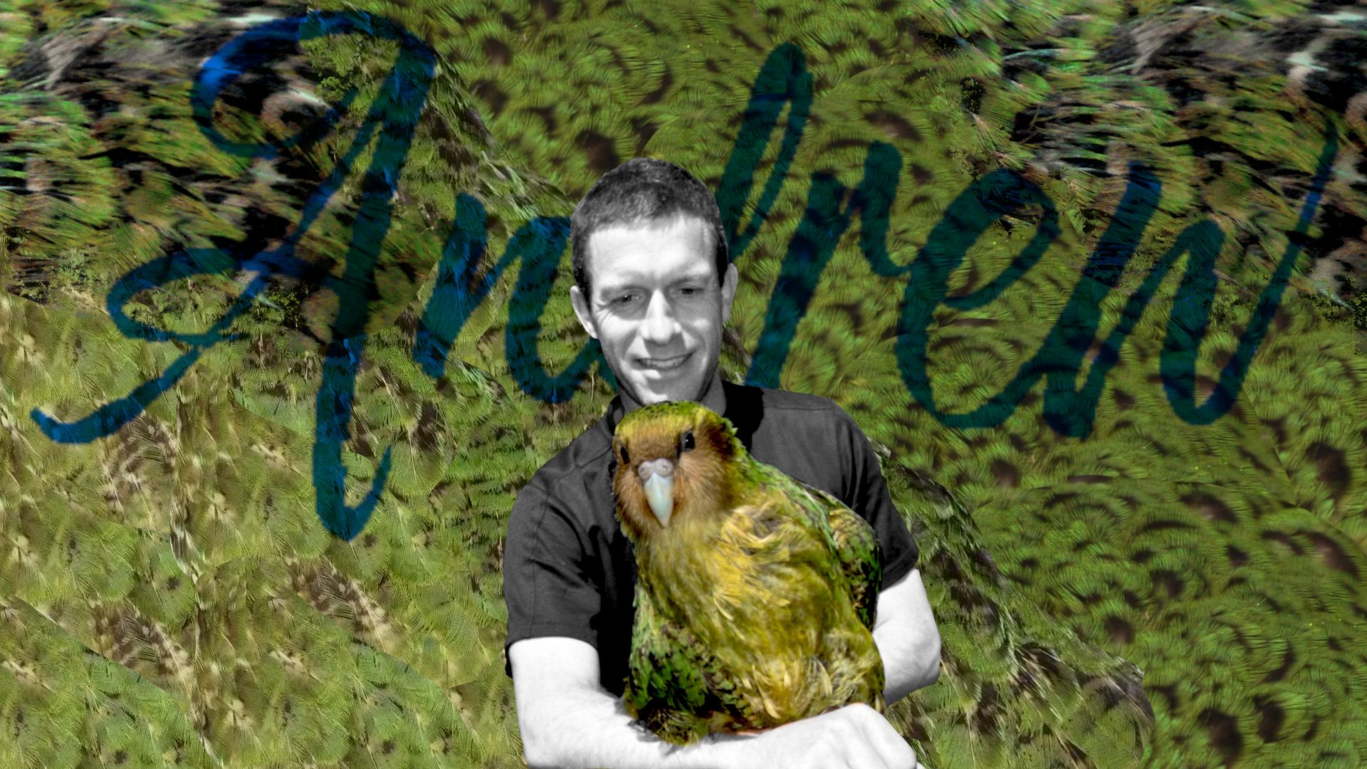 Andrew Spotlight: Digby | Scrolller