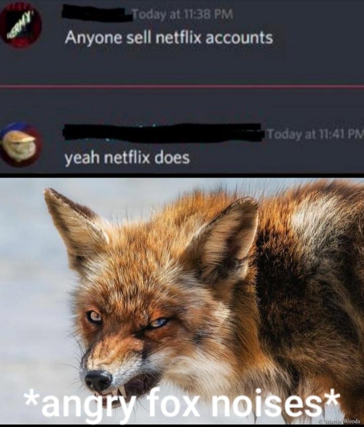 *angry fox noises* | Scrolller