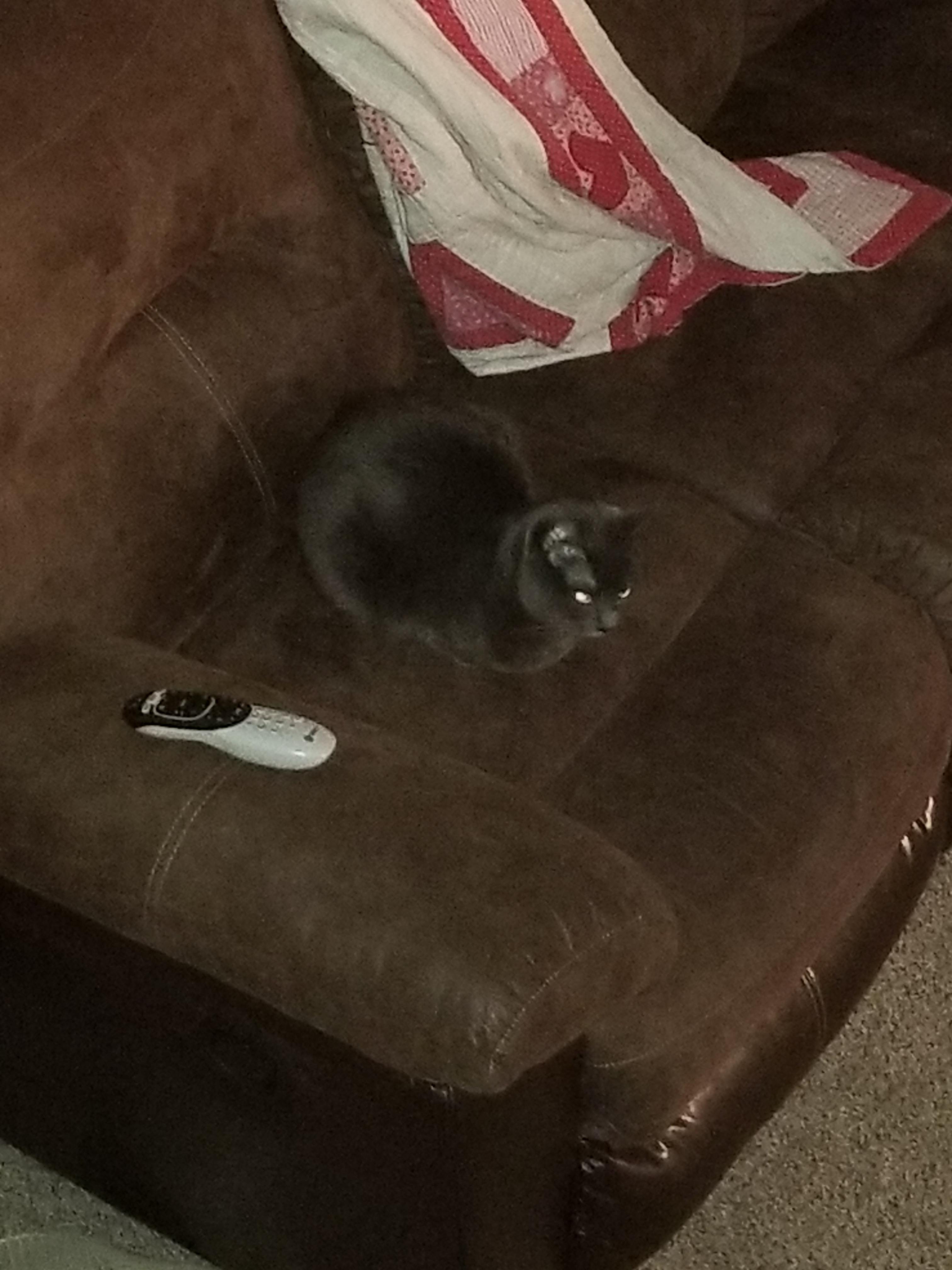 Angry morning loaf | Scrolller