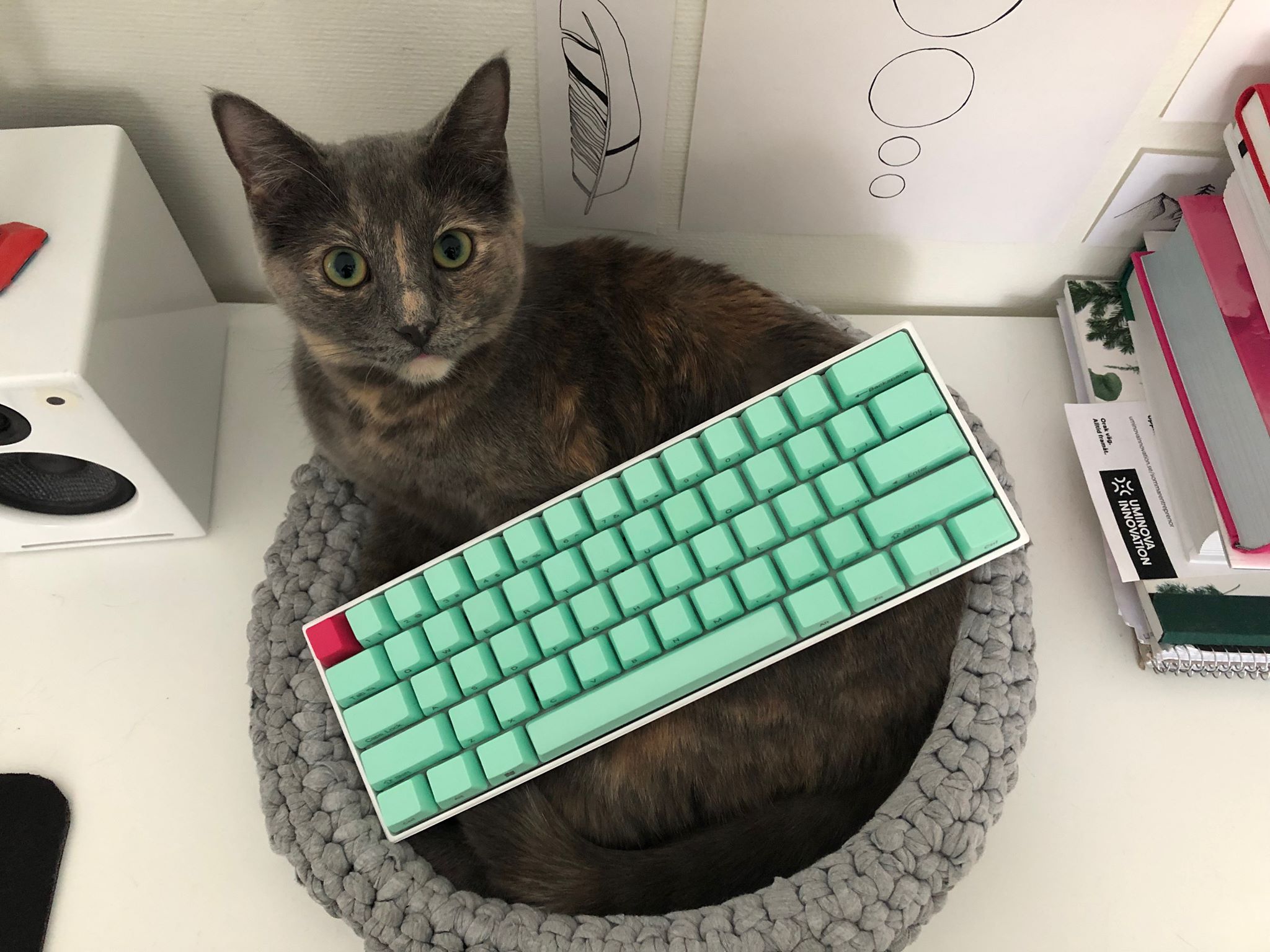 Anne Pro 2 with amazon keycaps - cat not included | Scrolller