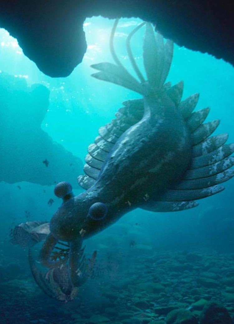Anomalocaris, one of the first predators, its eyes had 16000 lenses. Luckily extinct. | Scrolller