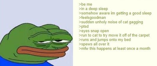 Anon and his cat | Scrolller