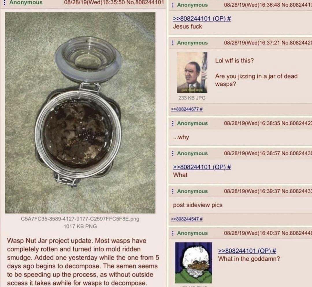 Anon gives an update on his scientific experiment | Scrolller