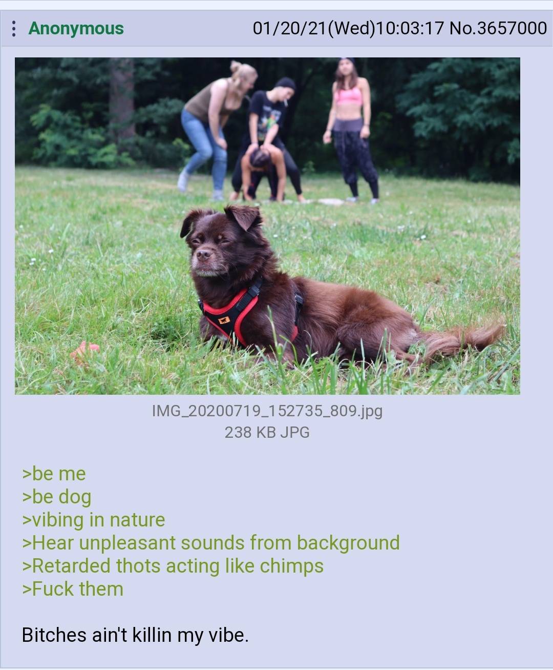 Anon is a good boy | Scrolller