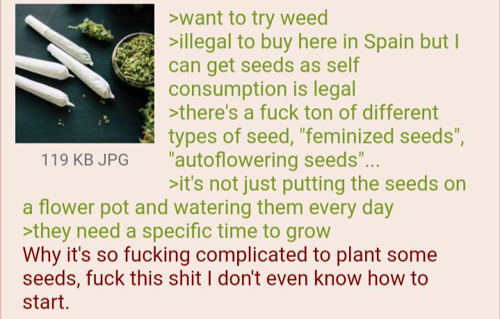 Anon is trying to plant some weed | Scrolller