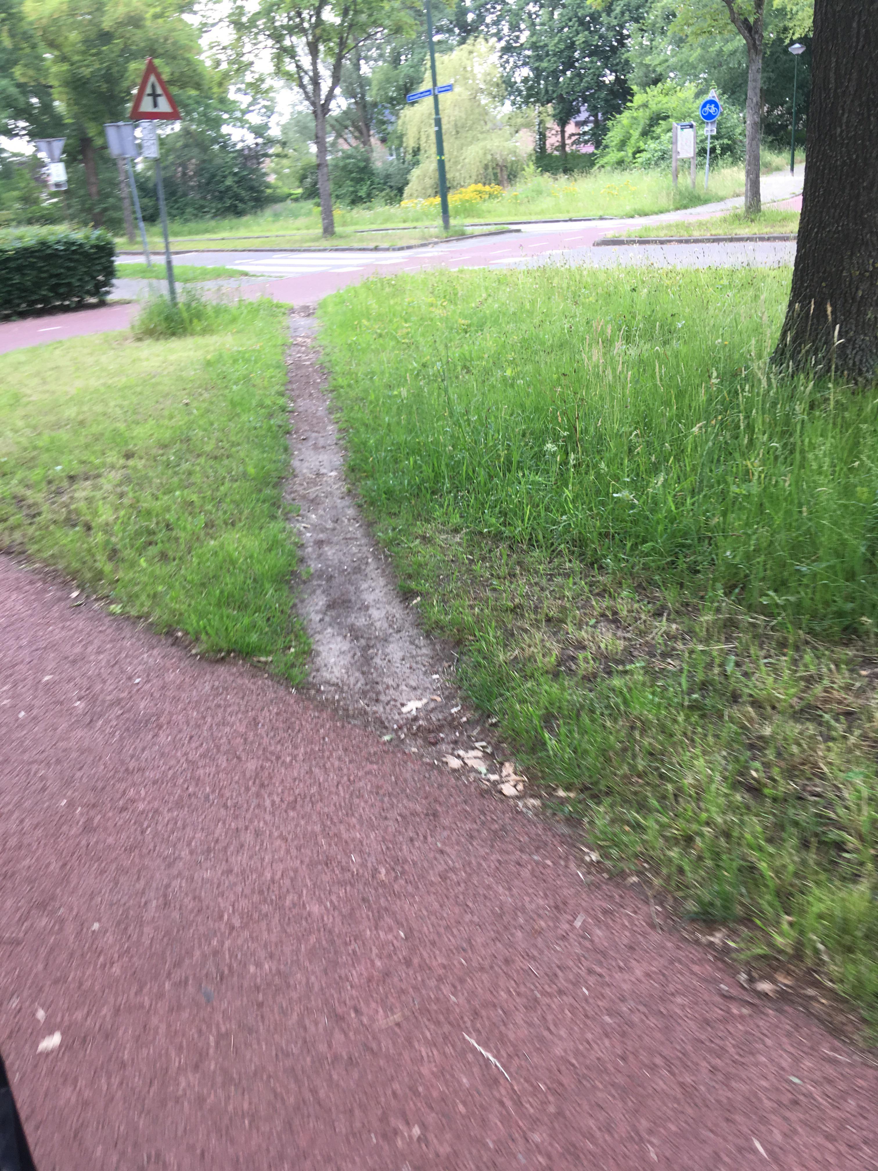 Another dutch desire path | Scrolller