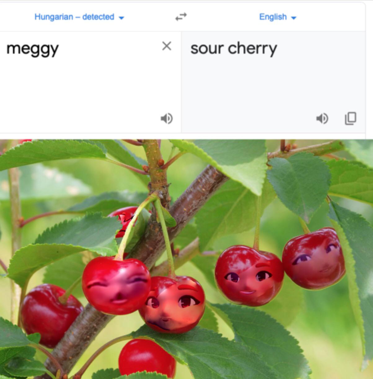 Another one | Scrolller