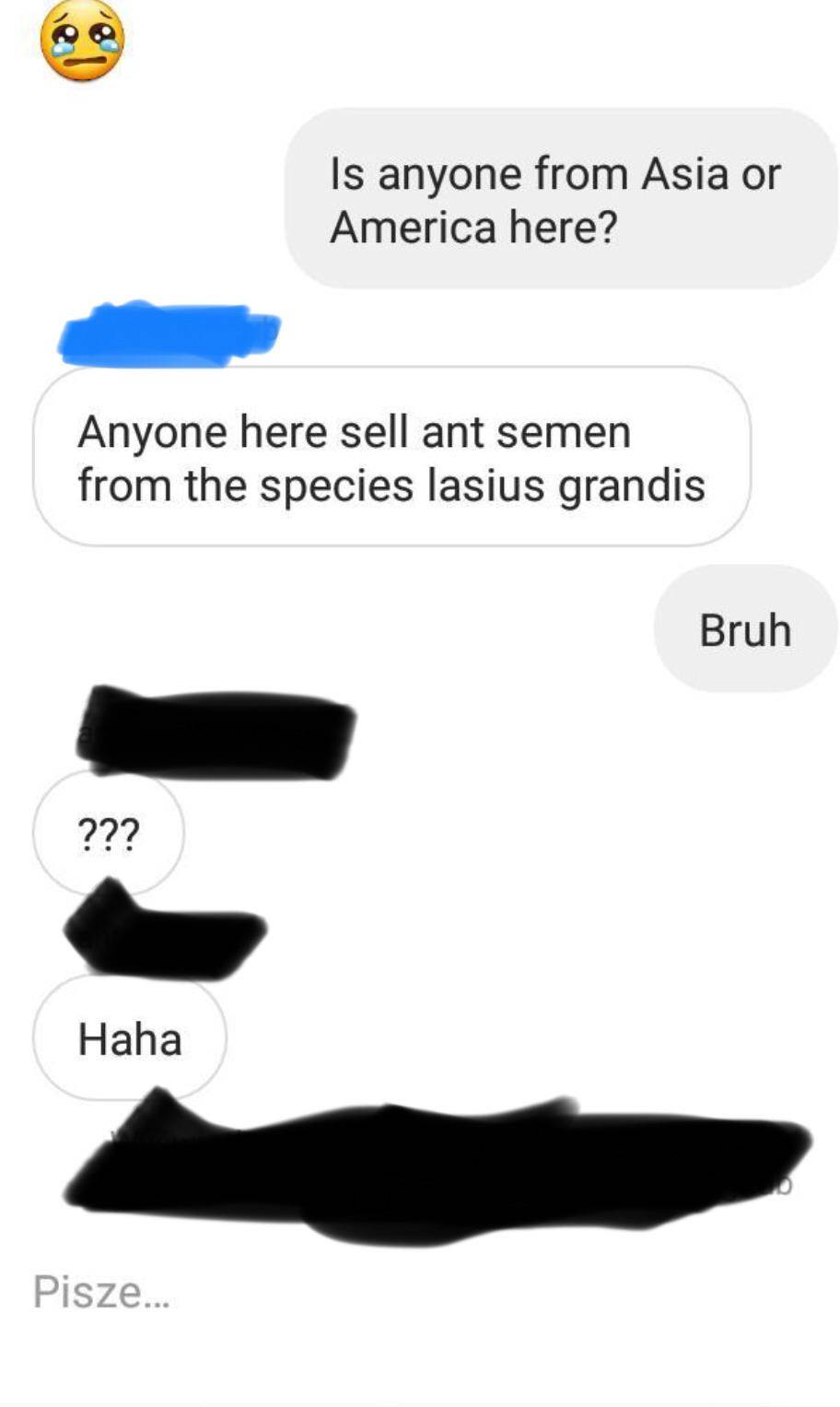 Ant hat gone wrong | Scrolller