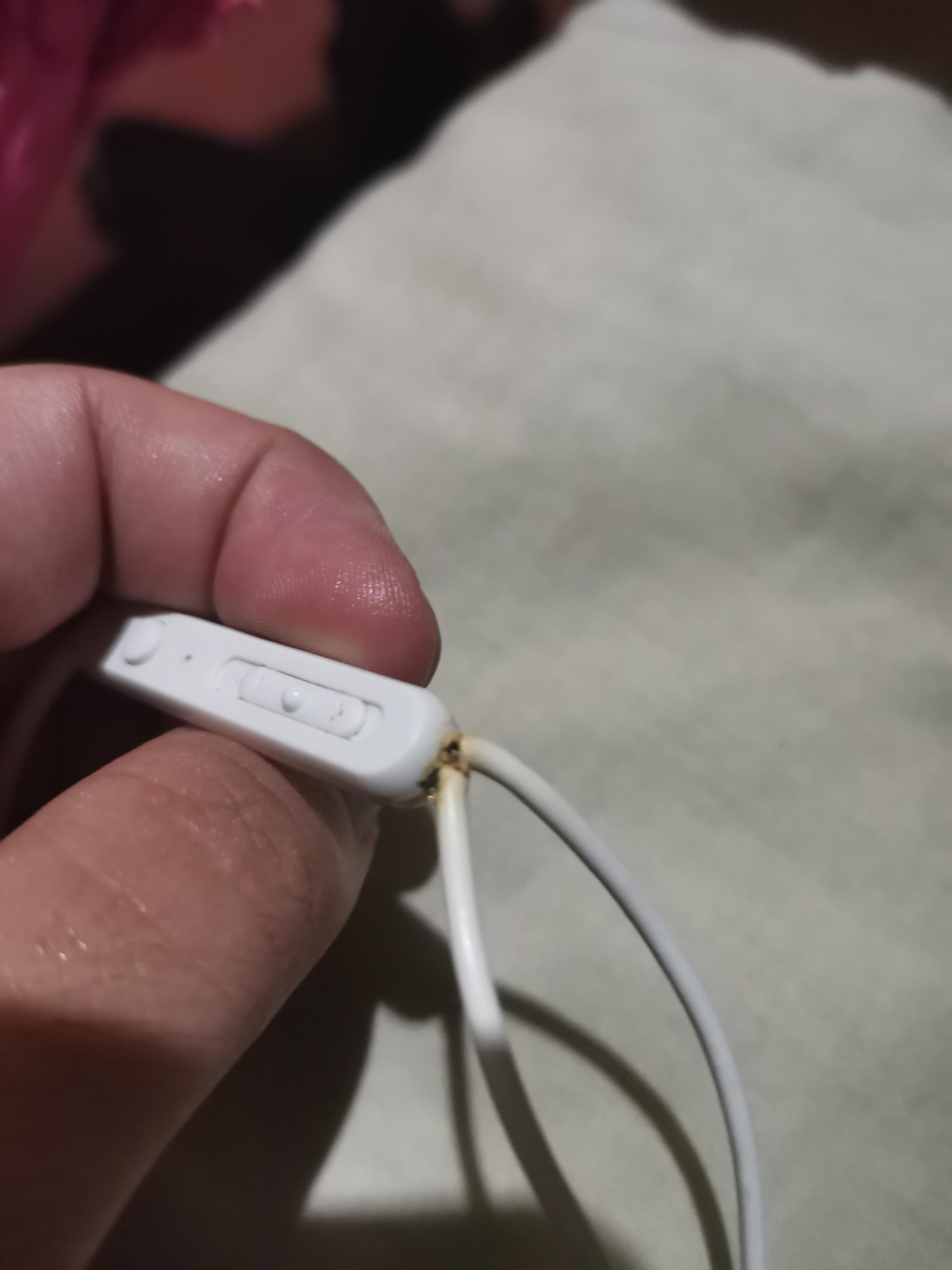 Any help? What is this? | Scrolller