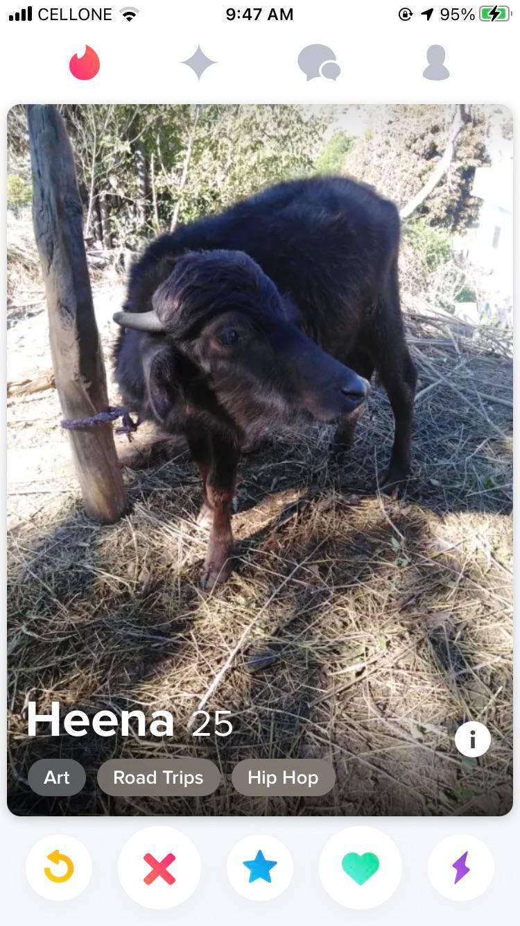 Any tips 😂😂😂 | Scrolller