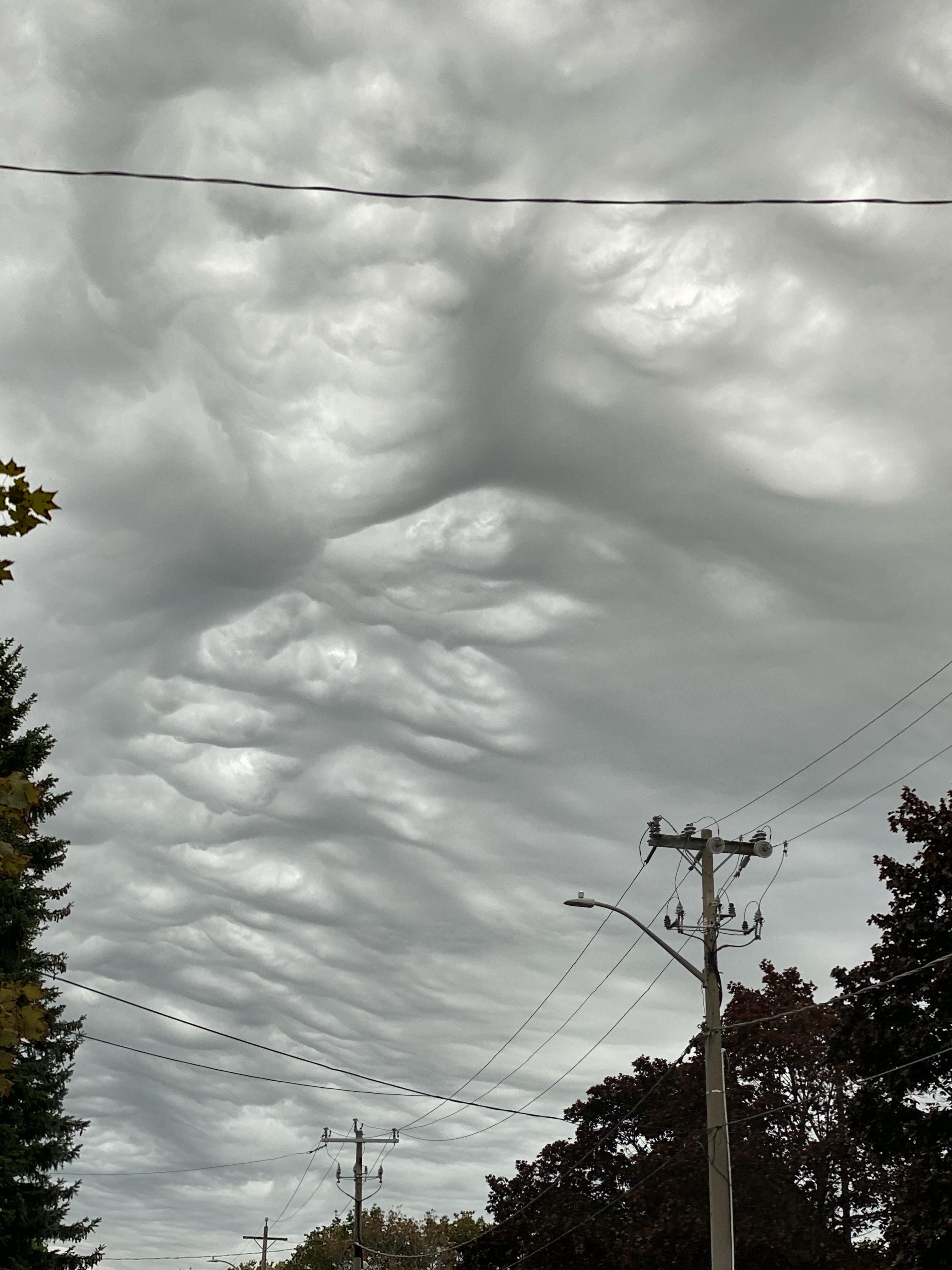 Anything special about these clouds? Thought they looked kinda cool. Only in a long straight ...