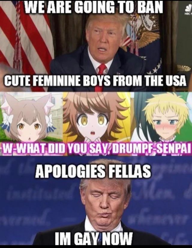 Now this is epic | Scrolller