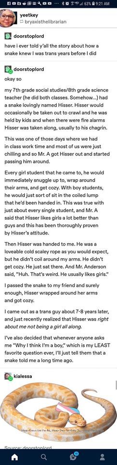 Apparently sneks can foresee our future | Scrolller