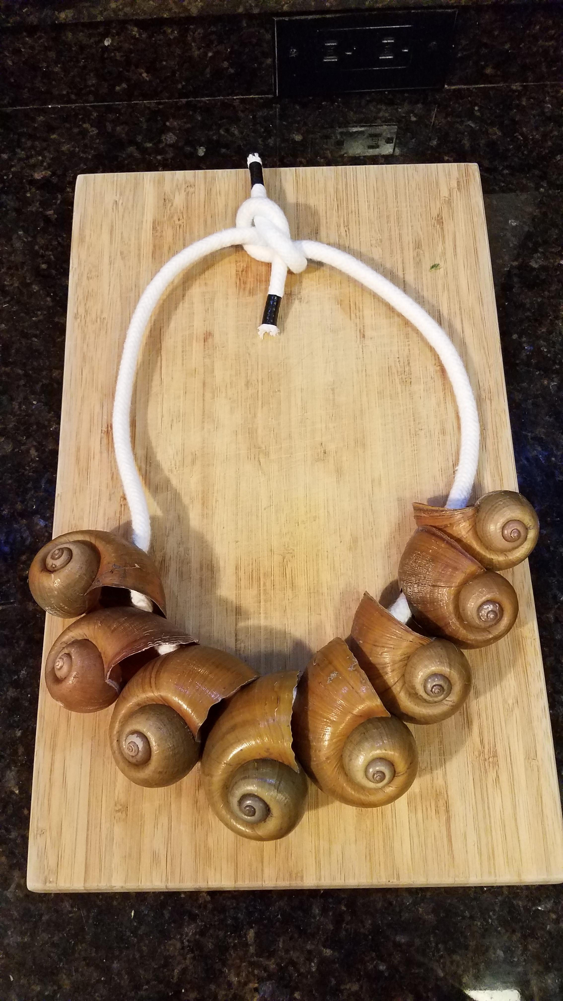 Apple Snail | Scrolller