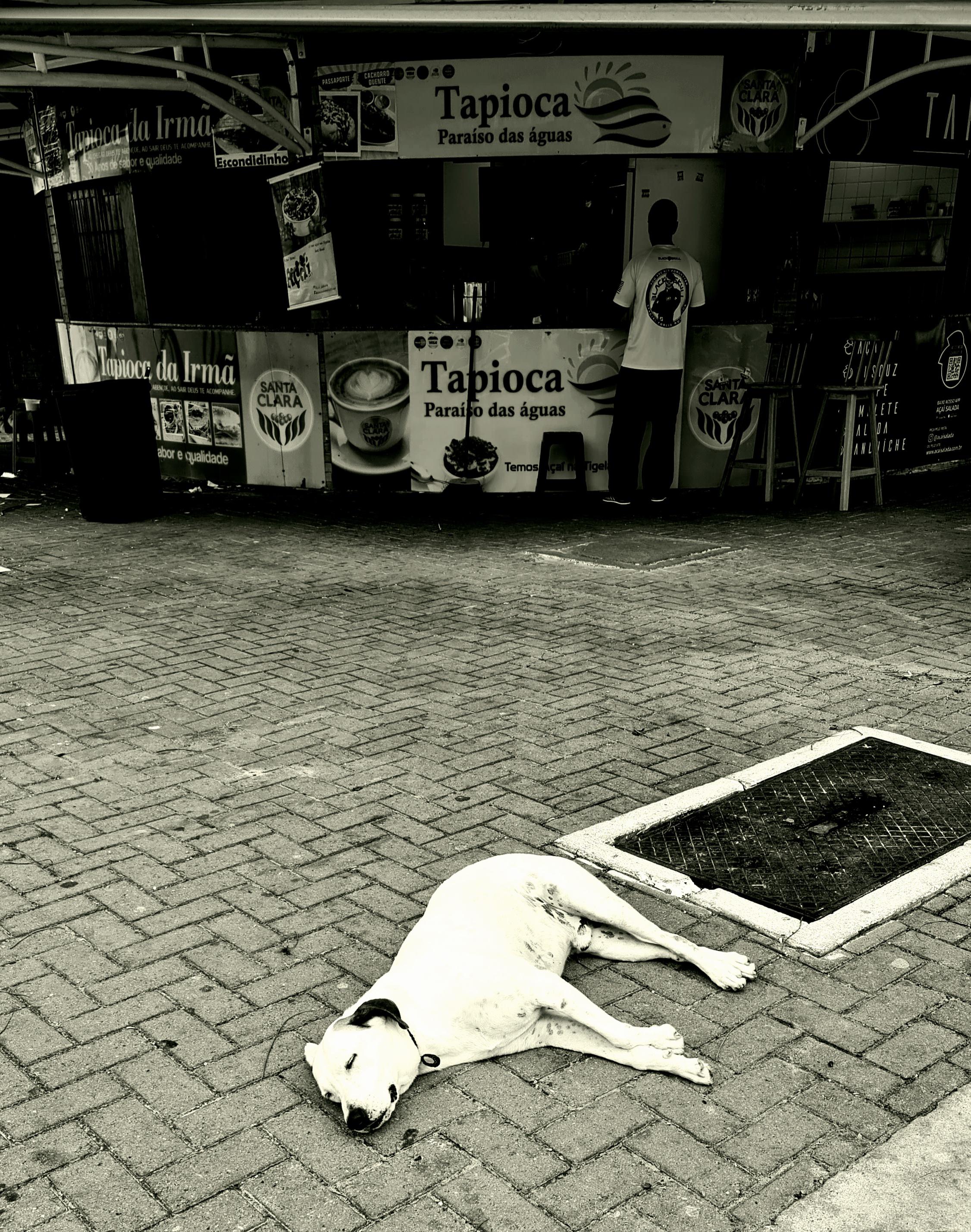 Aquele cochilo depois de uma tapioca de carne seca... | Scrolller