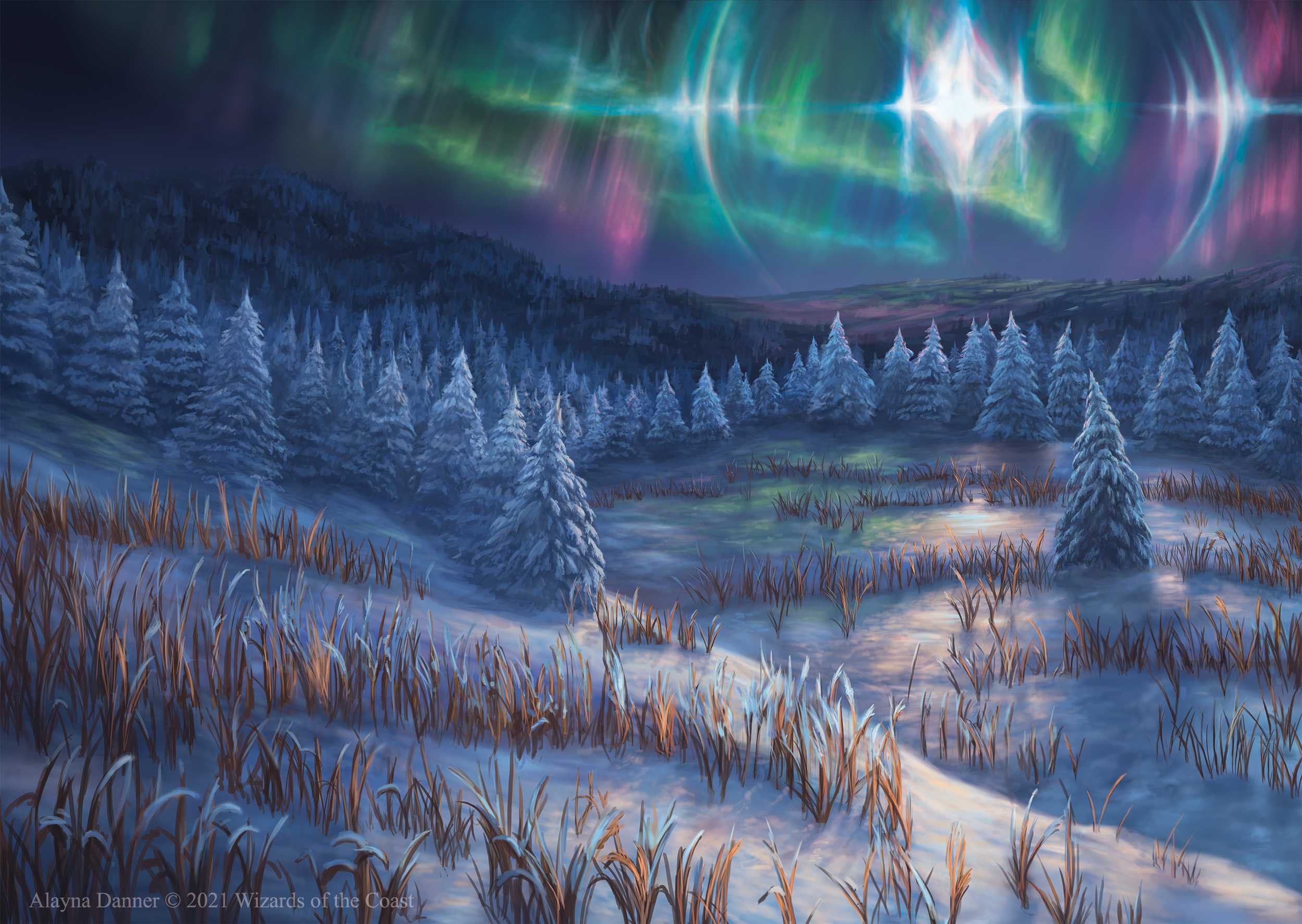 Arctic Treeline by Alayna Danner | Scrolller