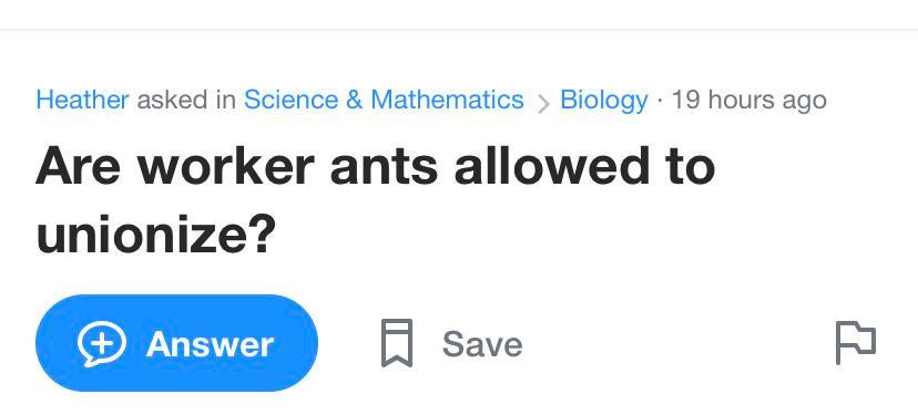 Are they tho? | Scrolller