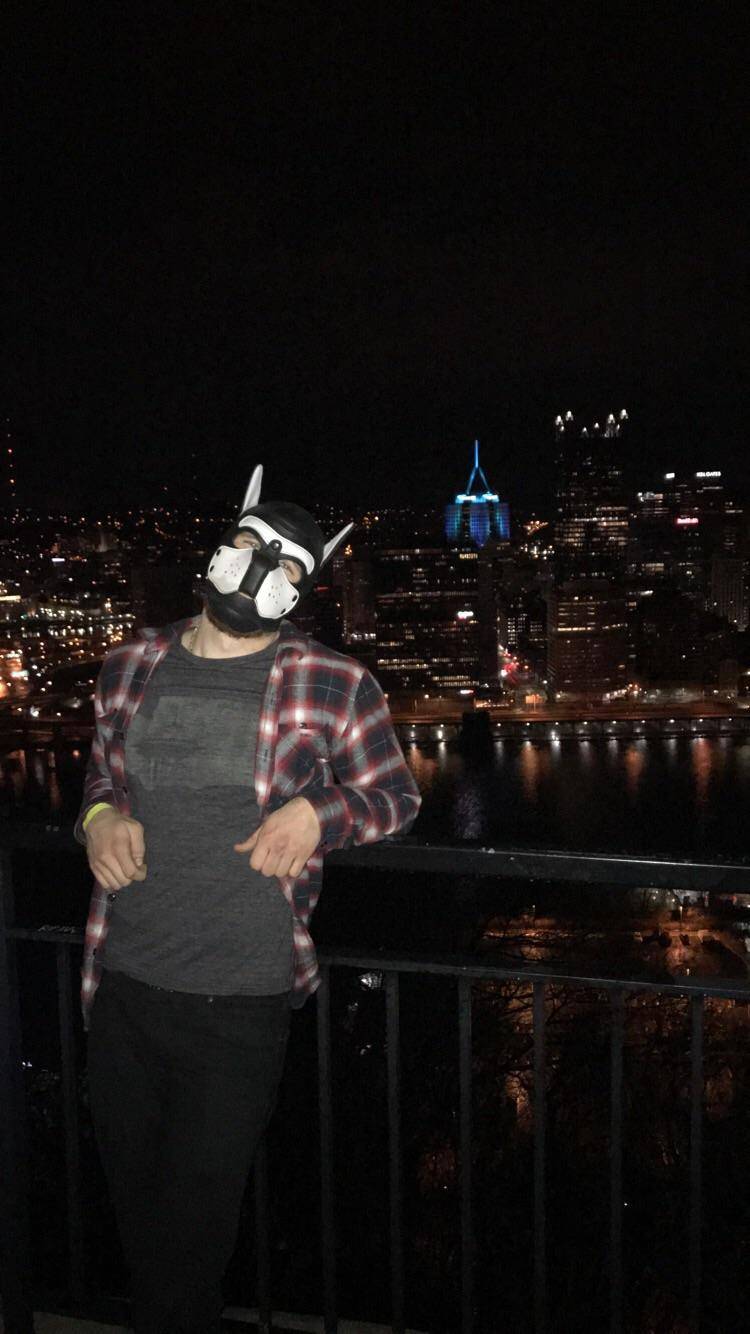 Arf arf! Hi puppies. 🐶 | Scrolller