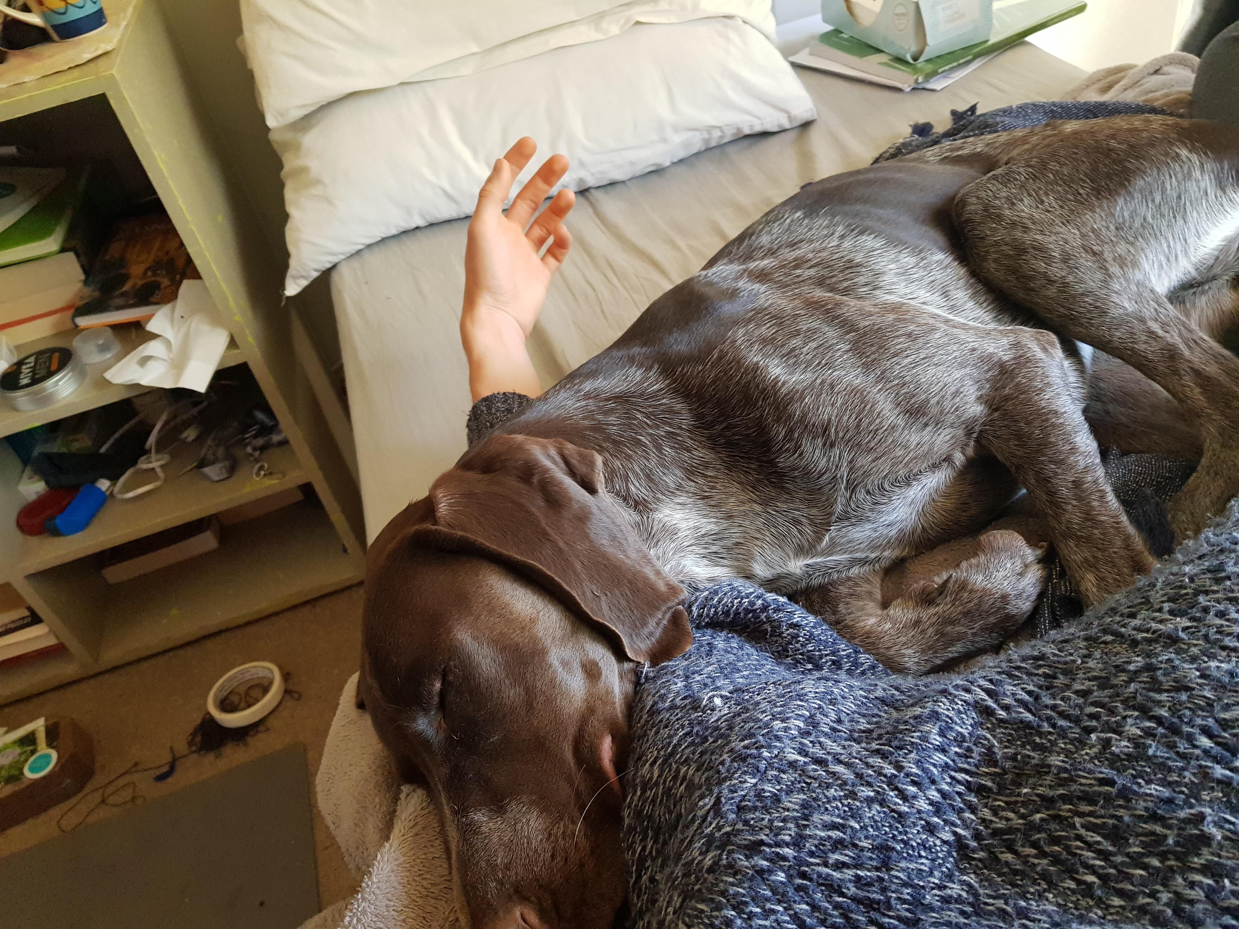 Arm is stuck | Scrolller