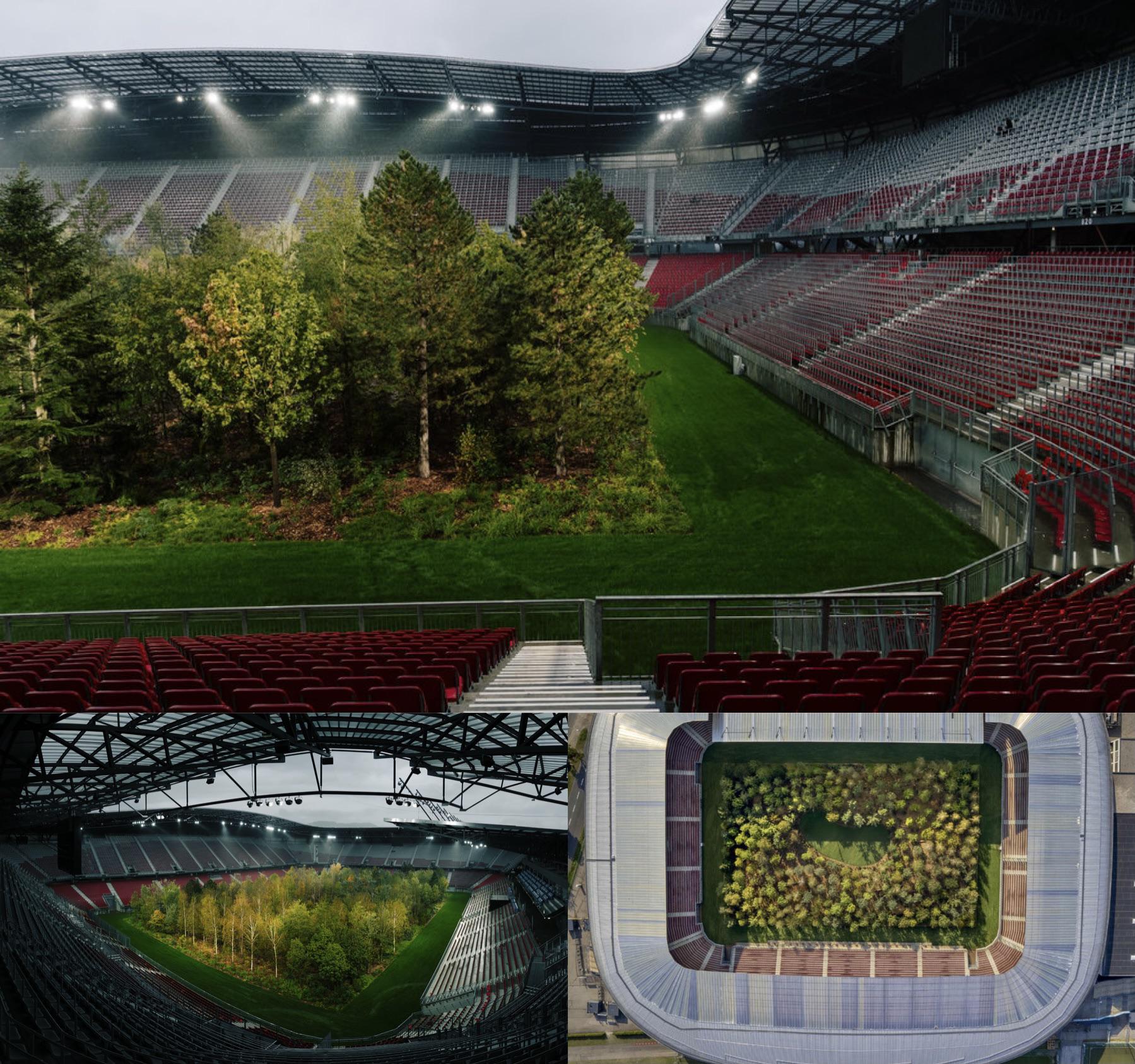 Artist Klaus Littmann turns soccer stadium into forest | Scrolller