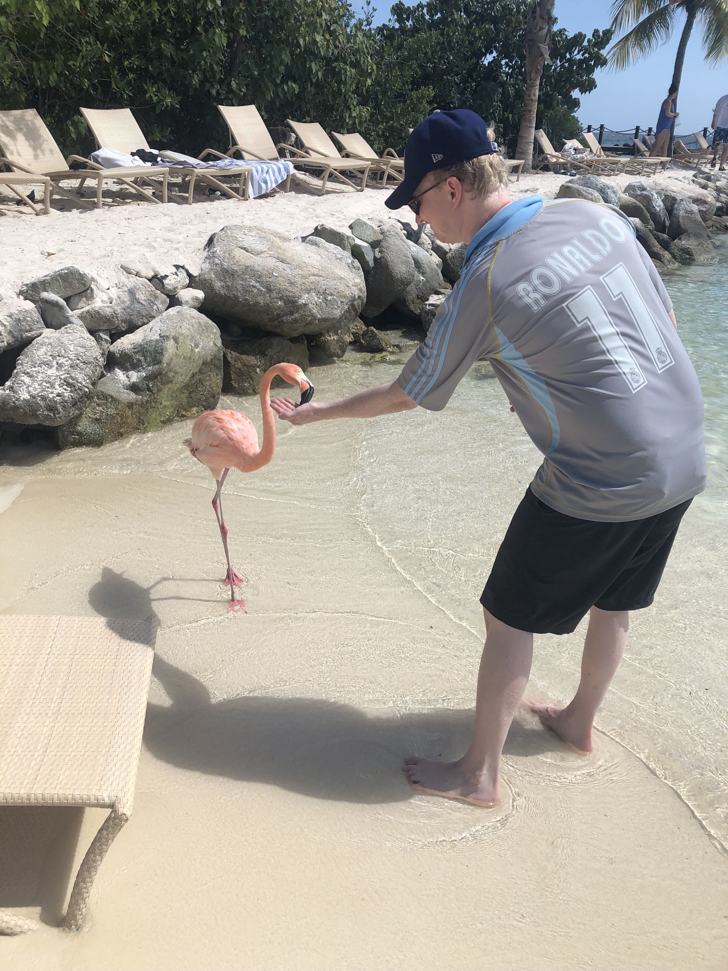 Aruba Flamingo post pt. 2 | Scrolller