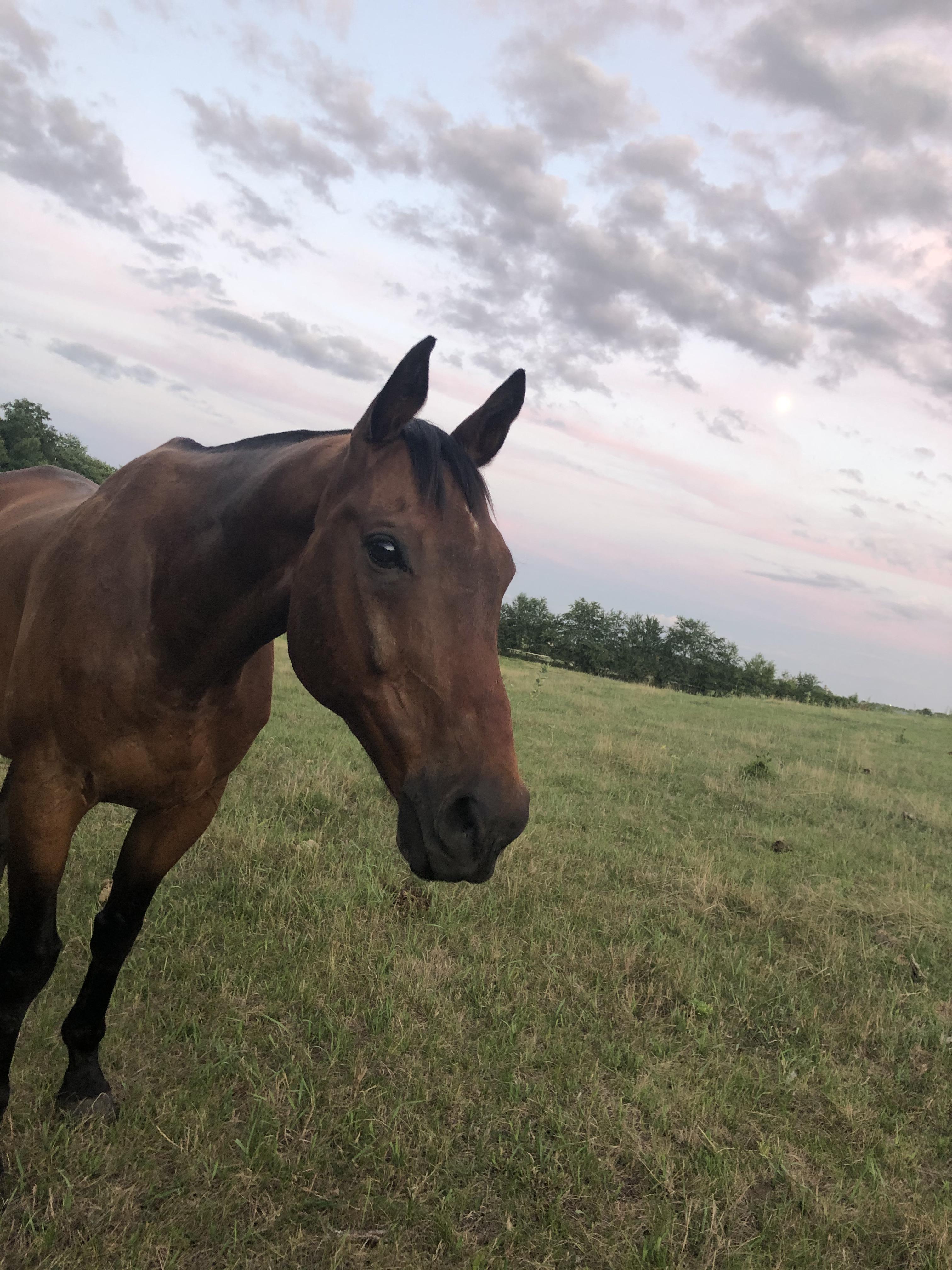 As of yesterday, this handsome guy is essentially mine! | Scrolller