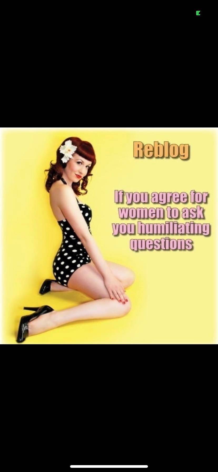 Ask anything | Scrolller