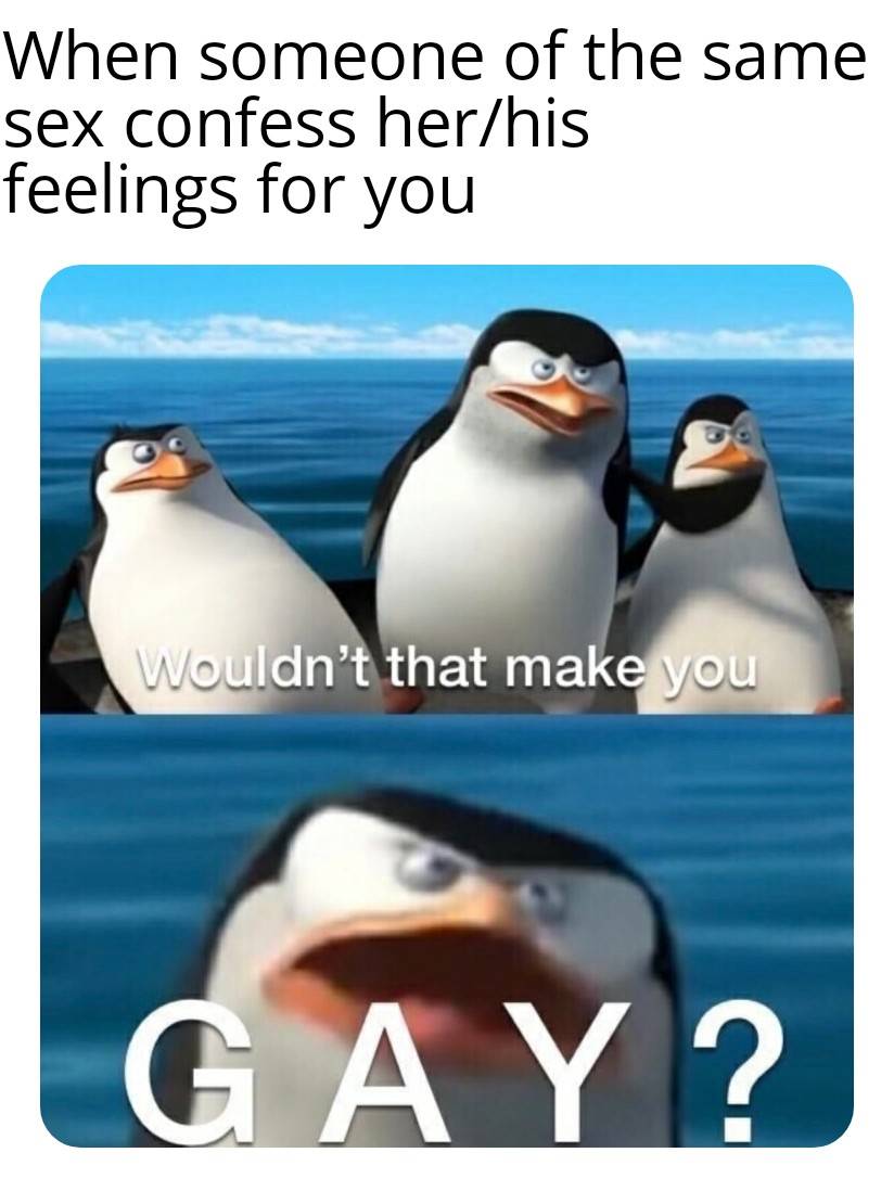 Asking the real question | Scrolller