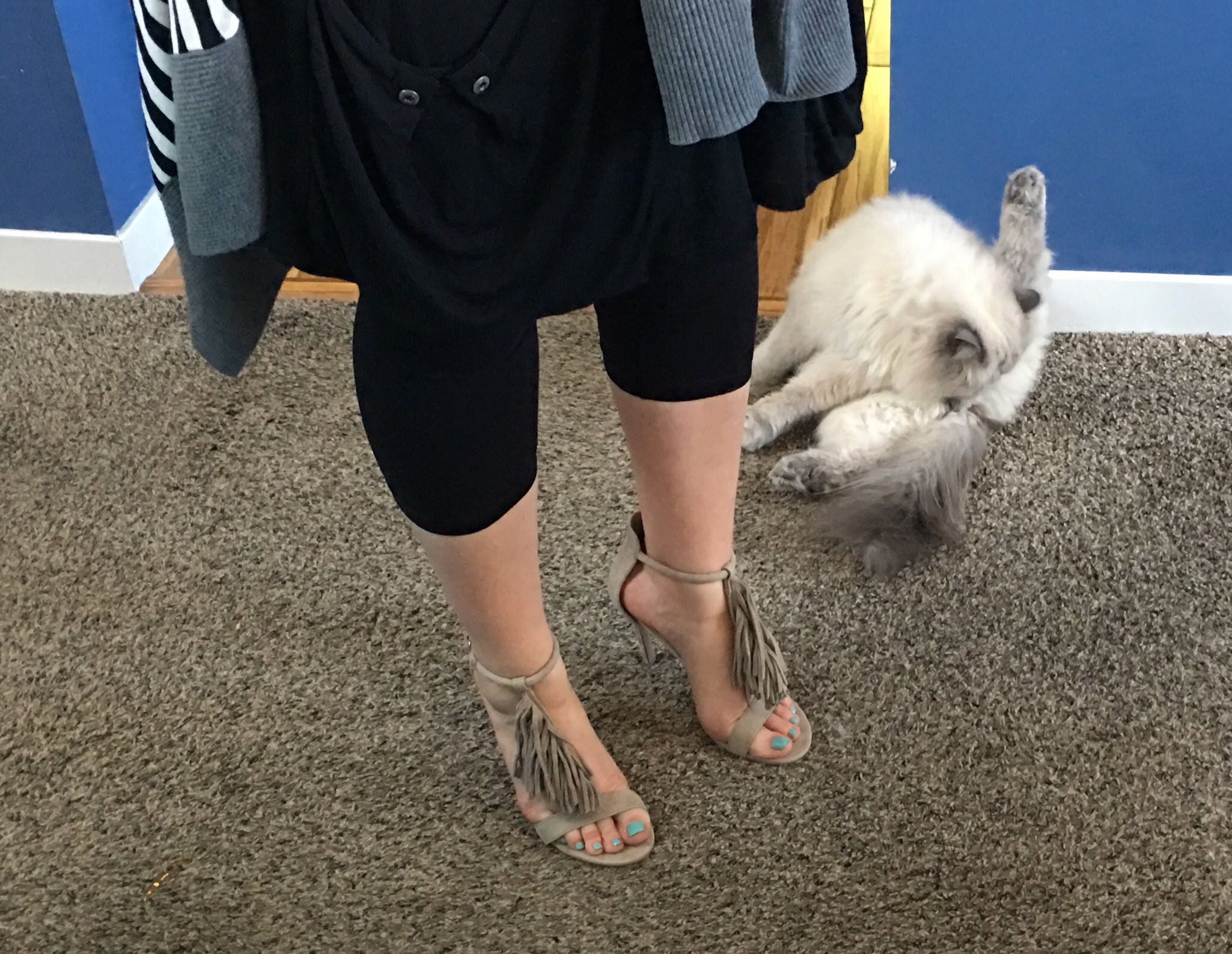 Asshole Cat Thinking Hes Getting In On The Foot Action Too [f