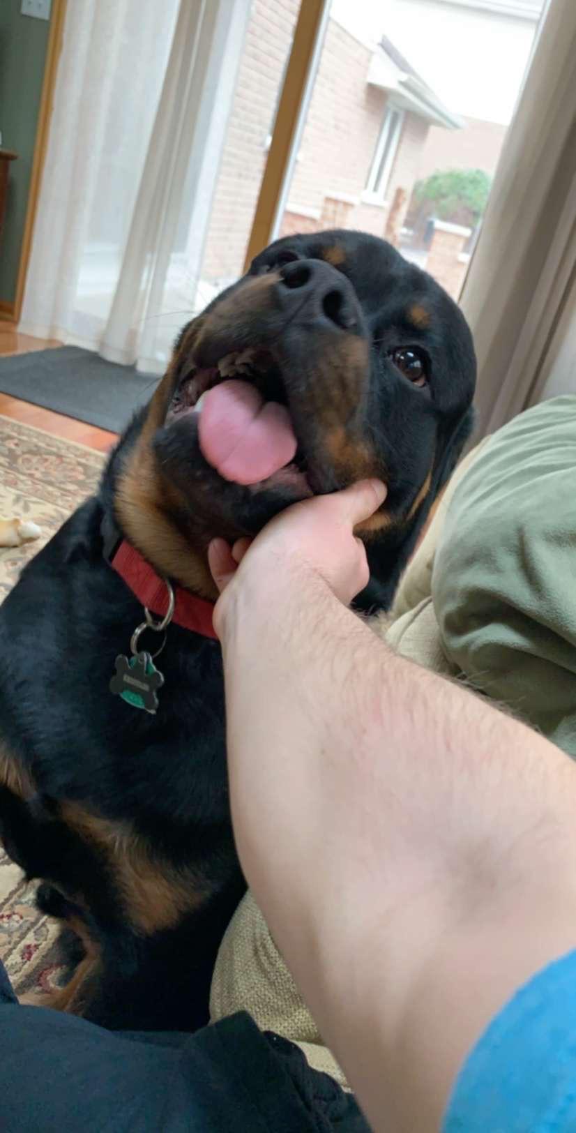 assisted blop | Scrolller