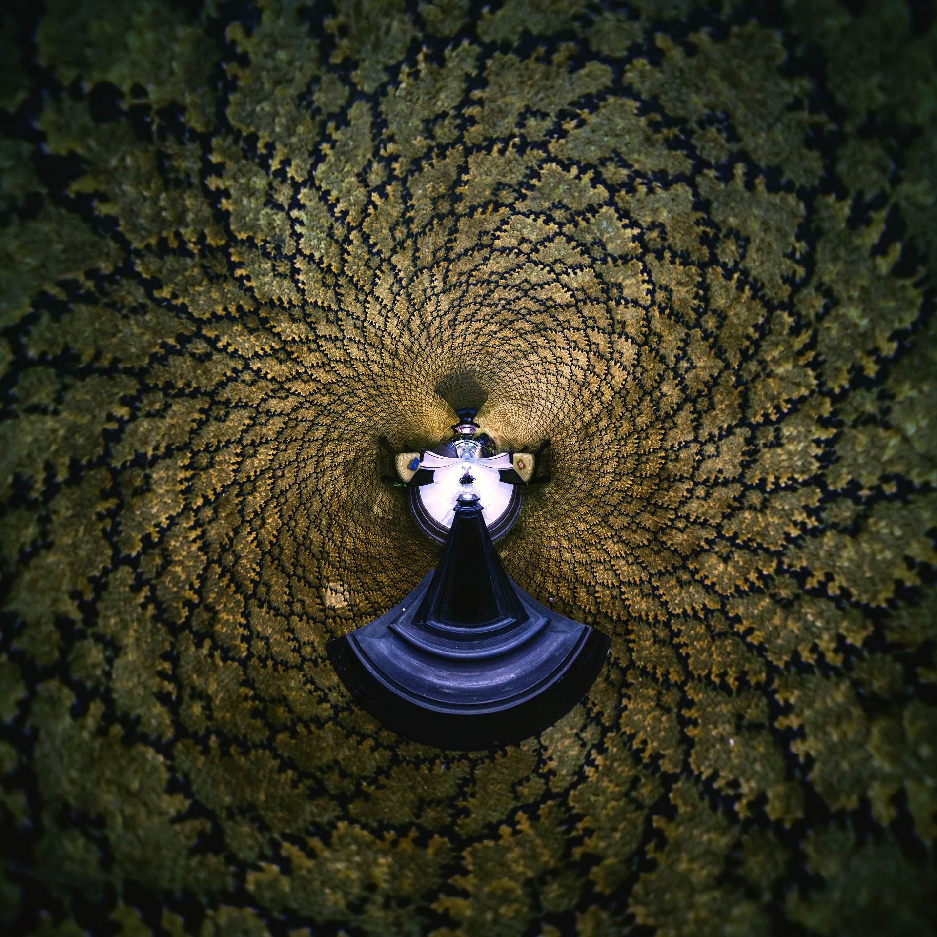 At the Altar | Scrolller