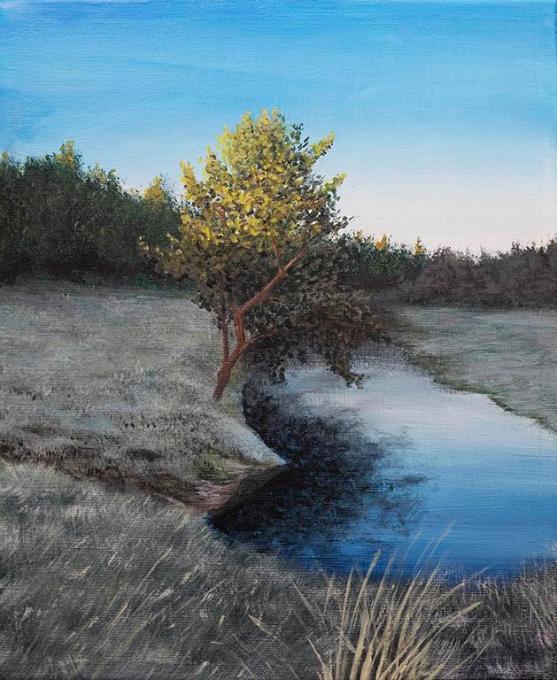 Attention Seeker | Scrolller