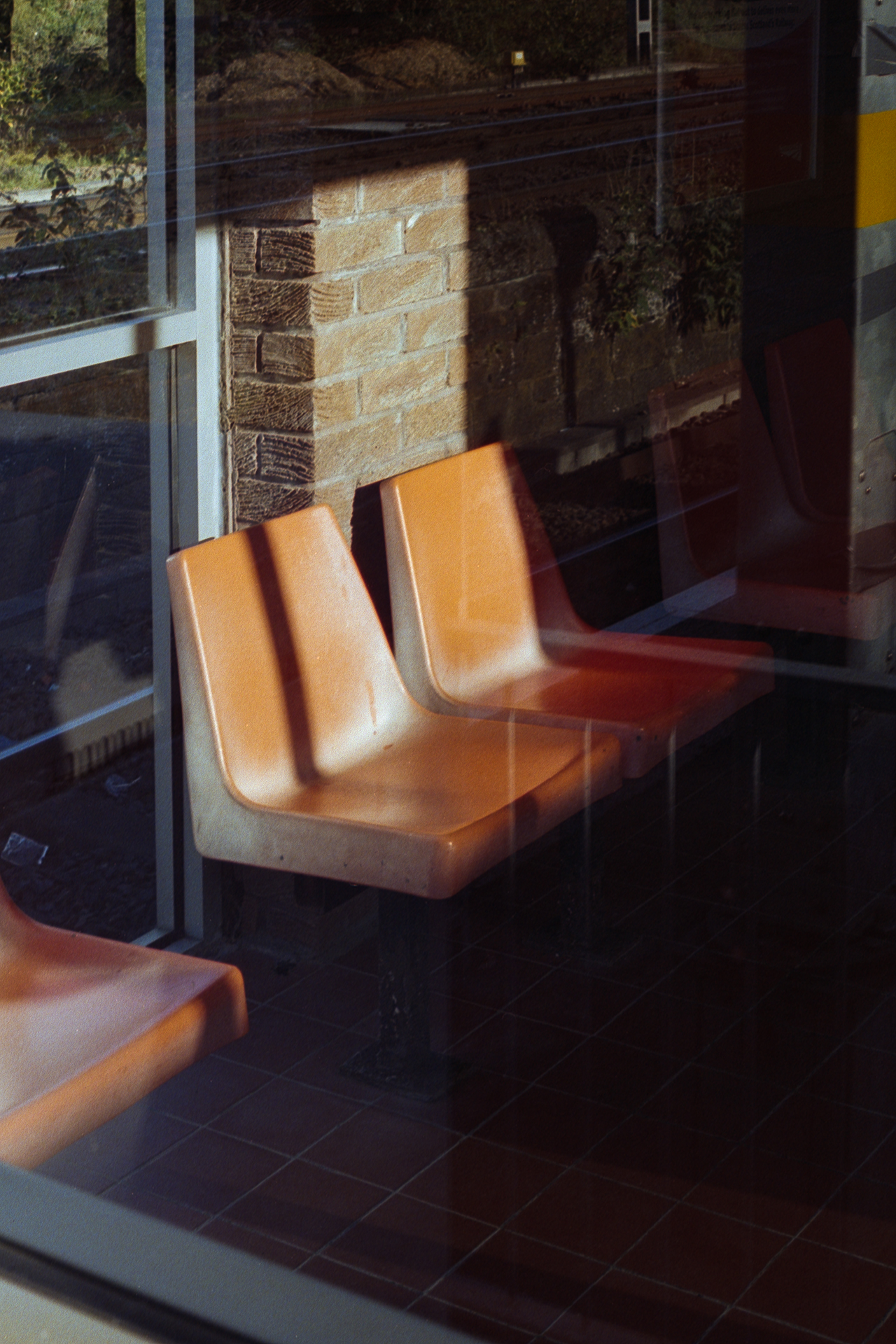 Autumn Sun [Canon A-1 | 50mm f1.8 | Lomo 800] | Scrolller