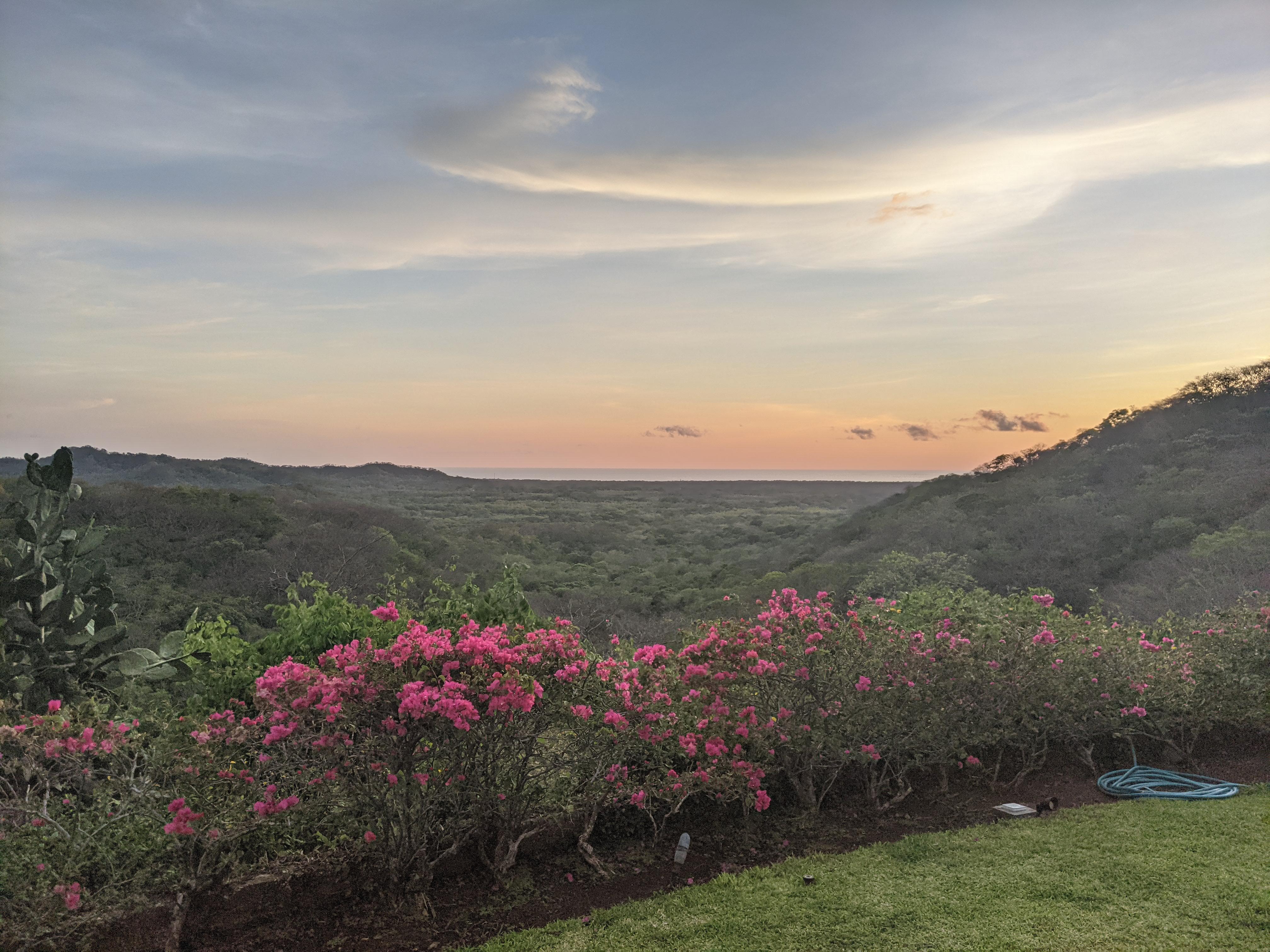 Avellanas from afar | Scrolller