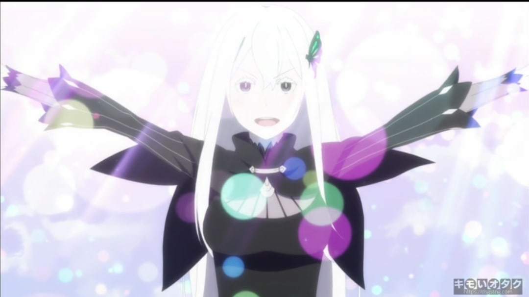 awesome moment with Echidna | Scrolller