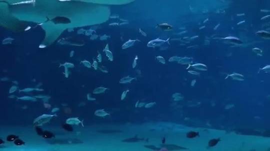 Awesome ocean inside view | Scrolller