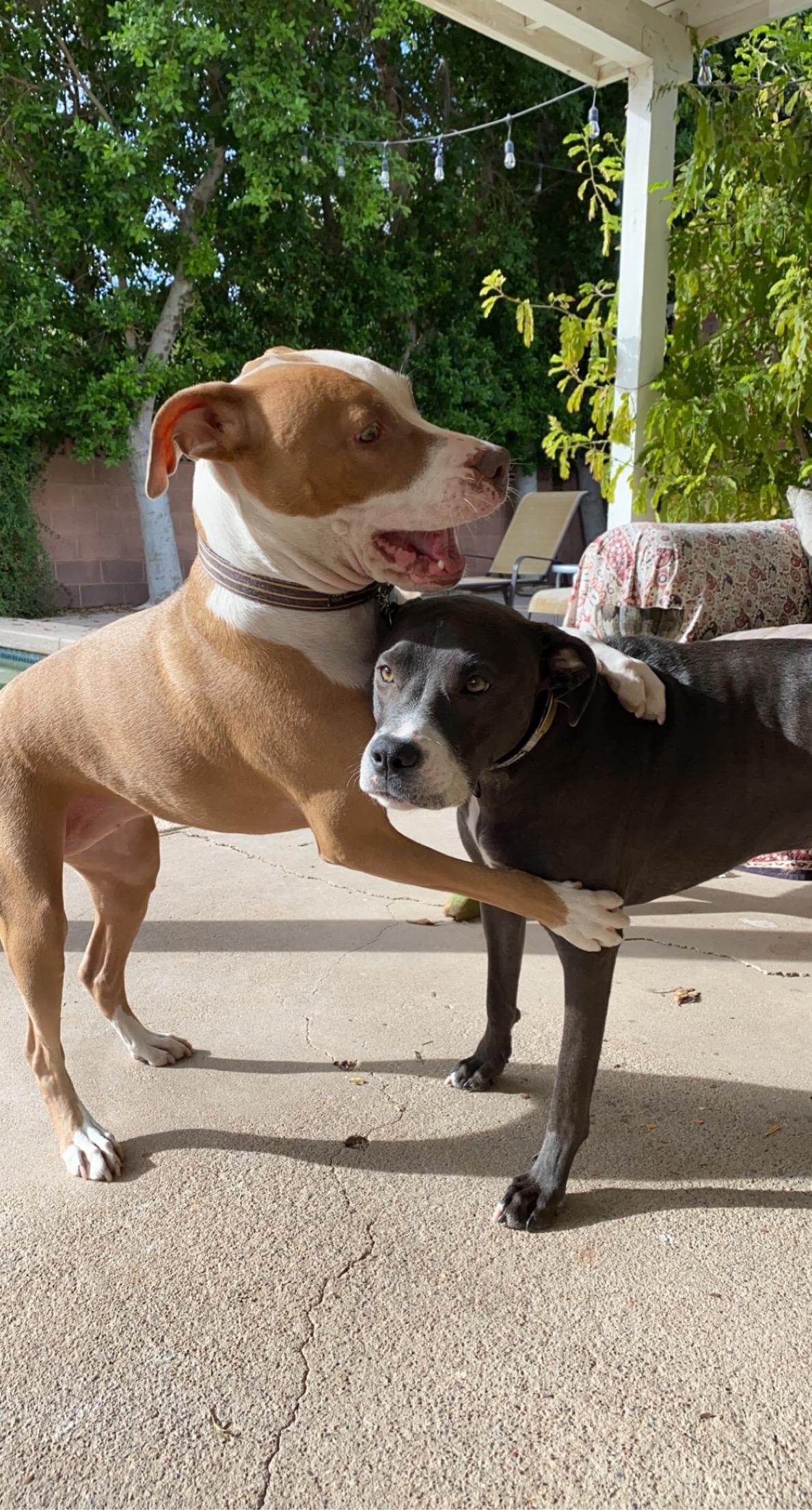 Aziza (right) really doesn't care much for social time. | Scrolller