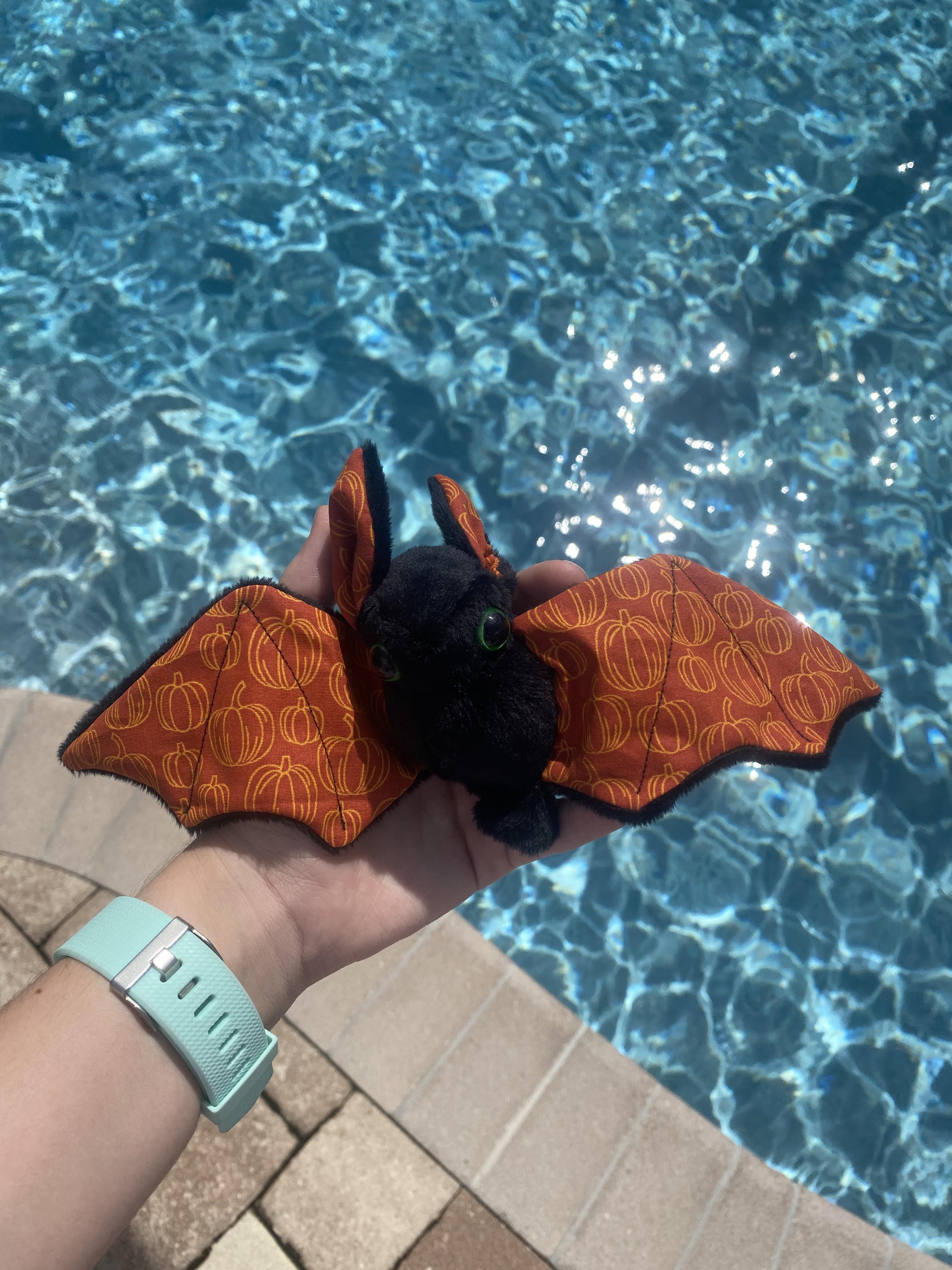 B-Grade bat I just made, but I still love him! | Scrolller