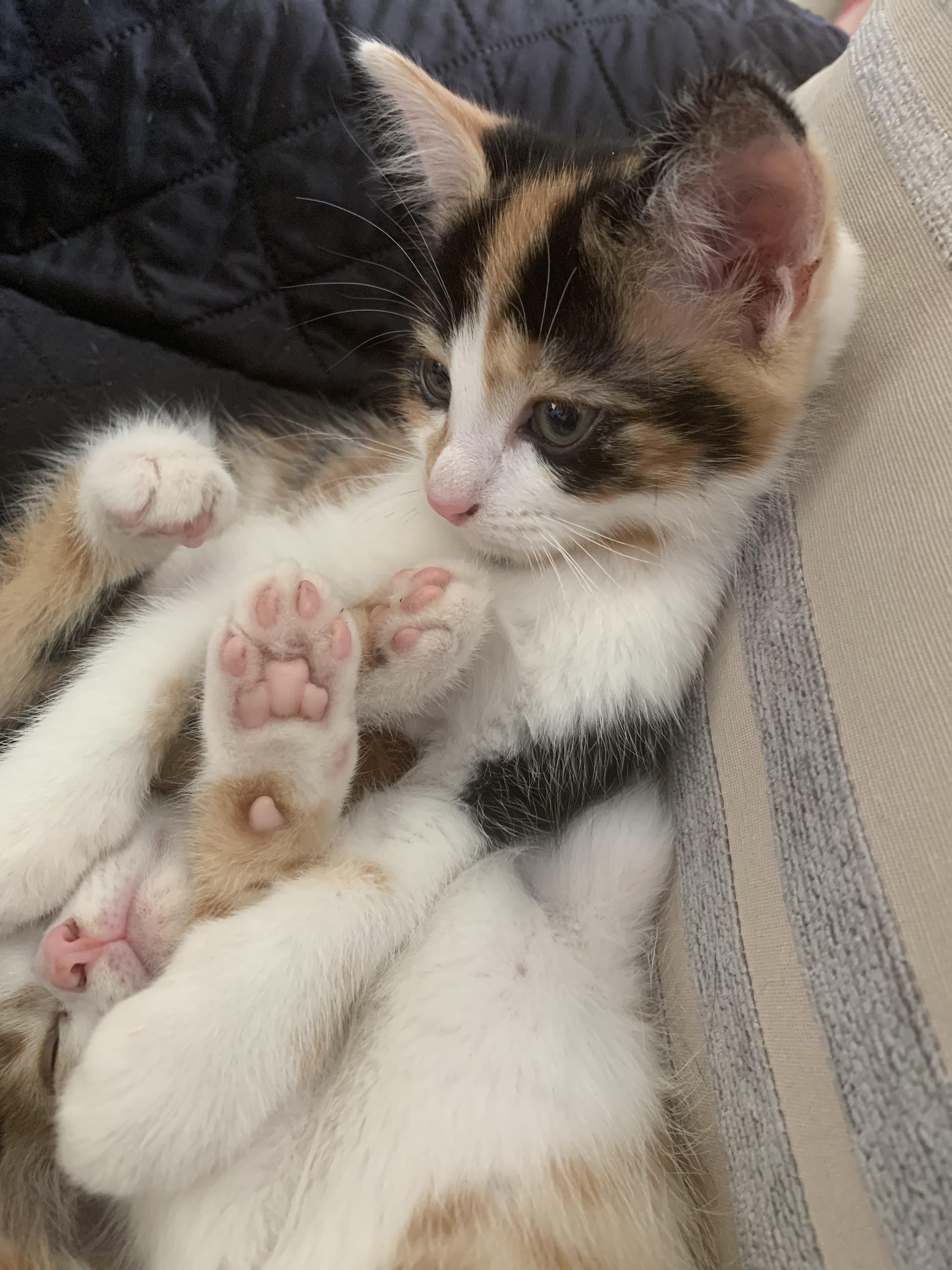 Baby beans! | Scrolller