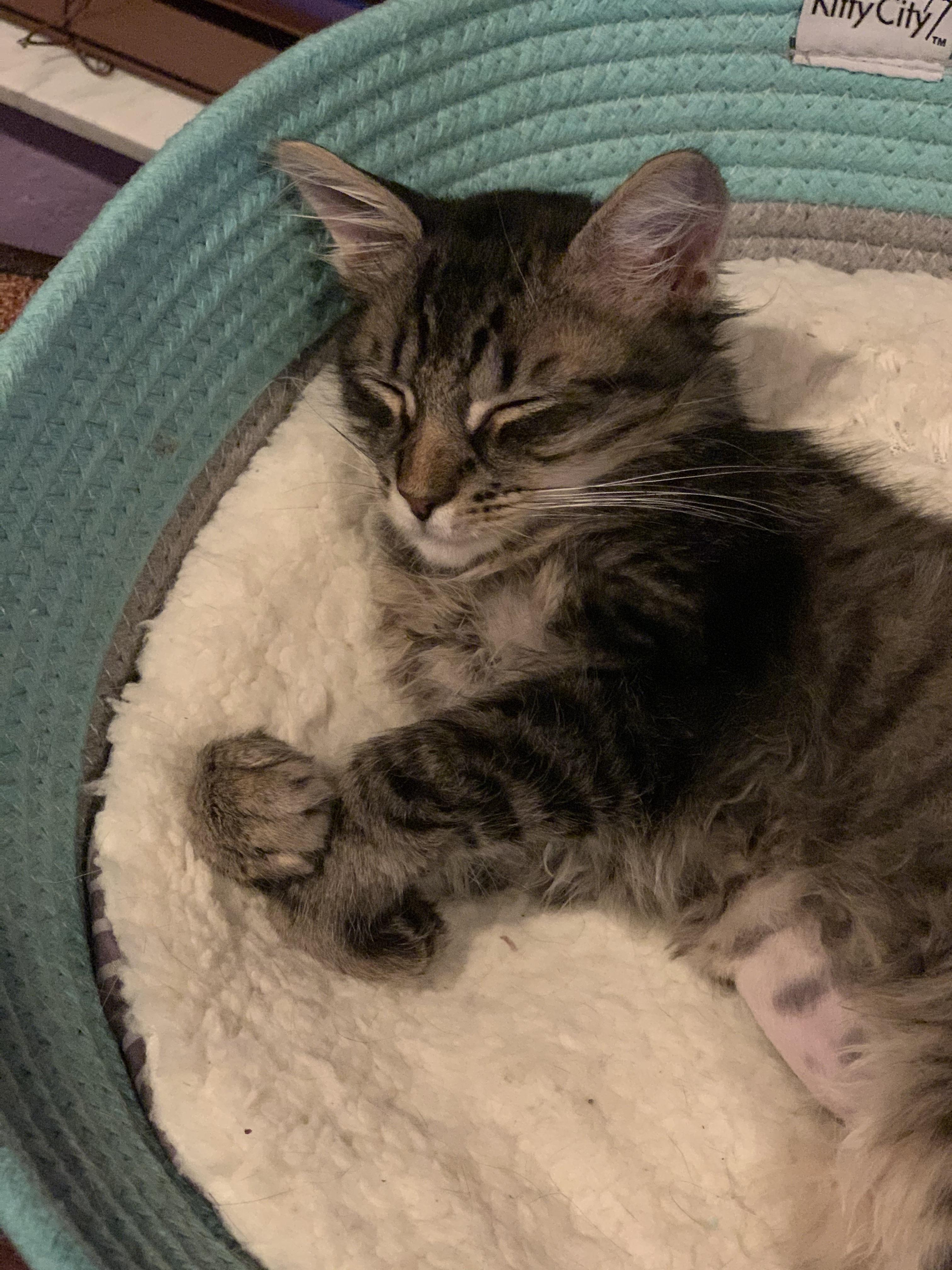 Baby Cathie - so polite! | Scrolller