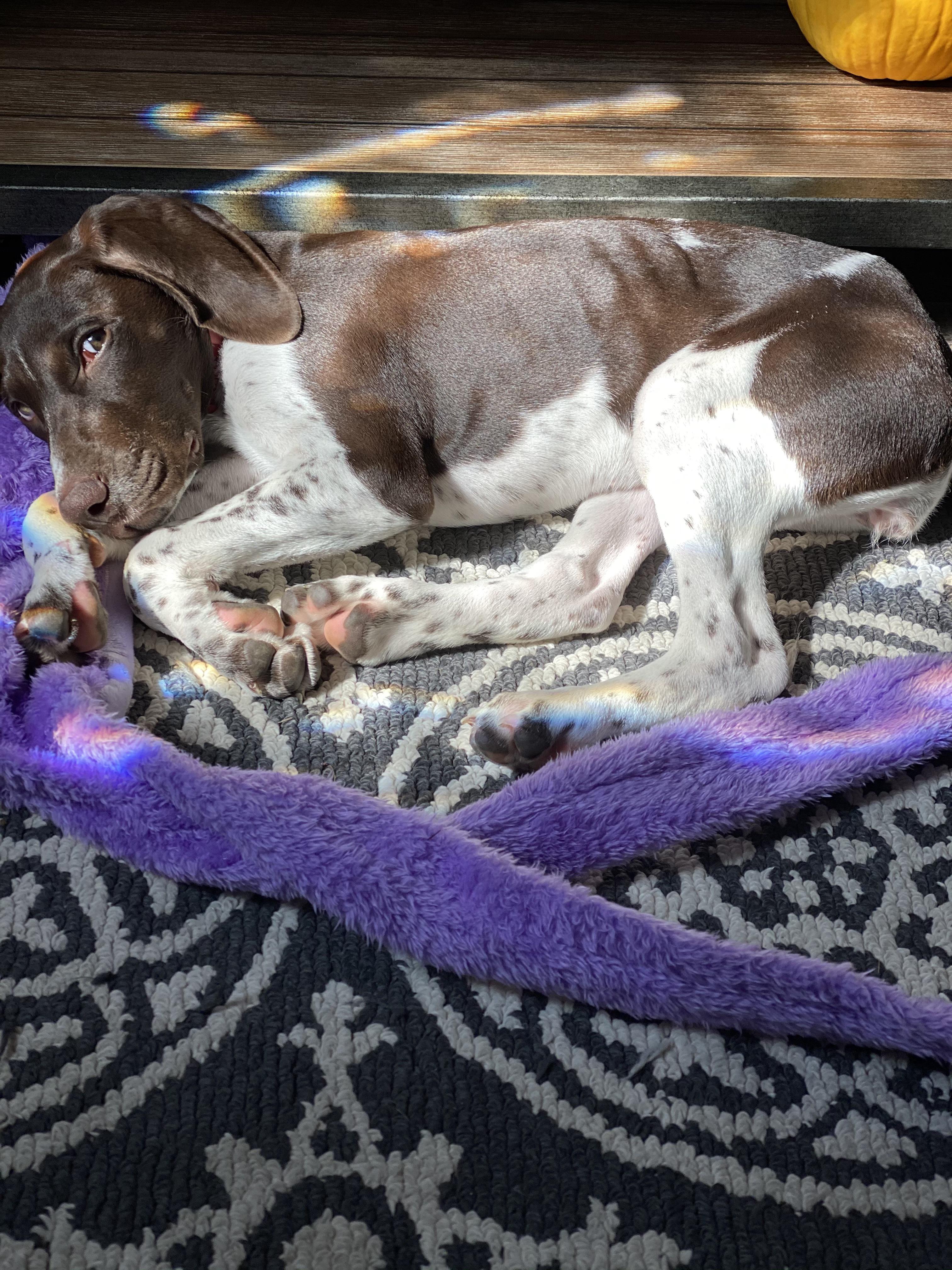 Baby girl catching some sun | Scrolller