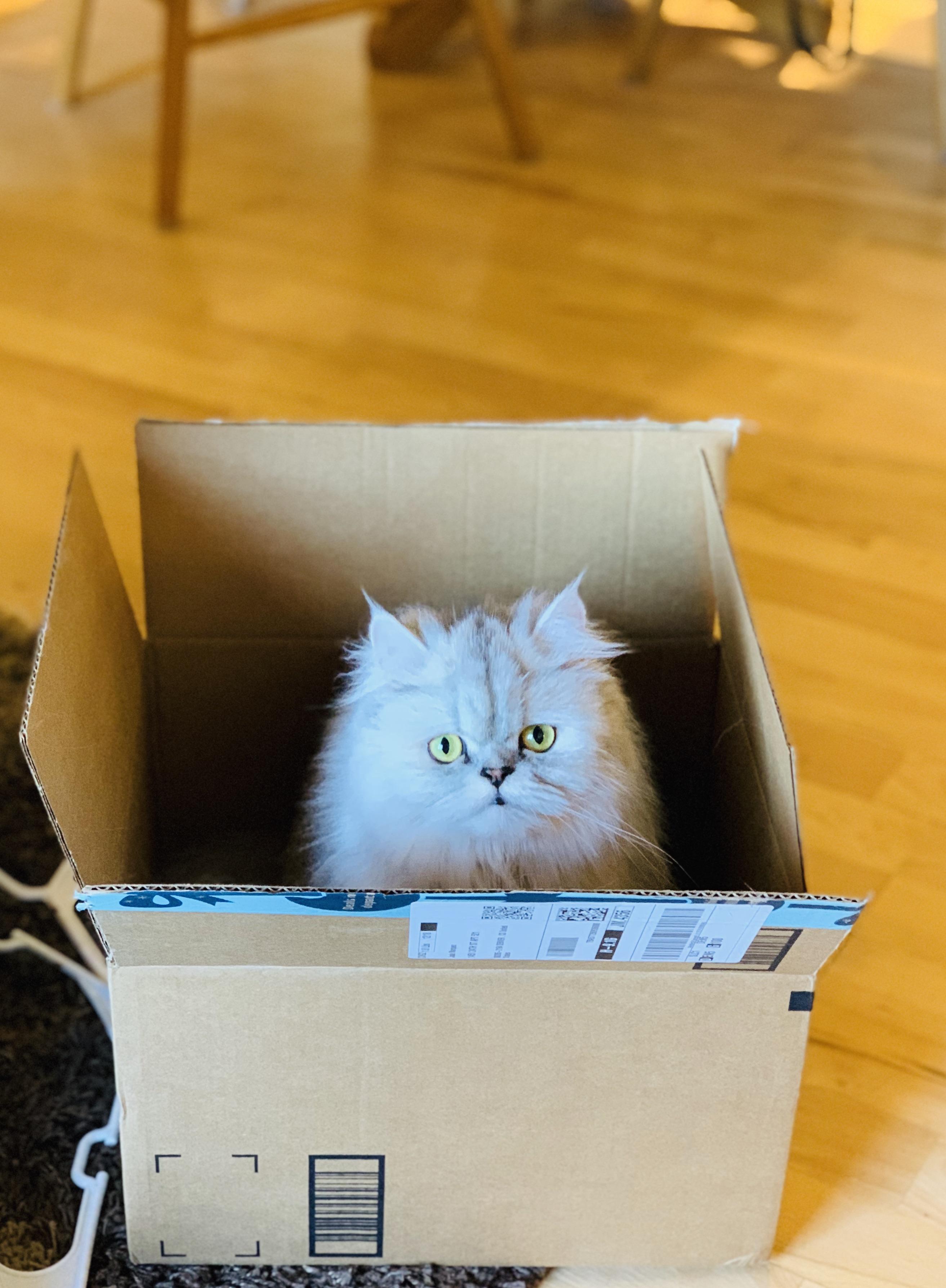 Baby in box. | Scrolller