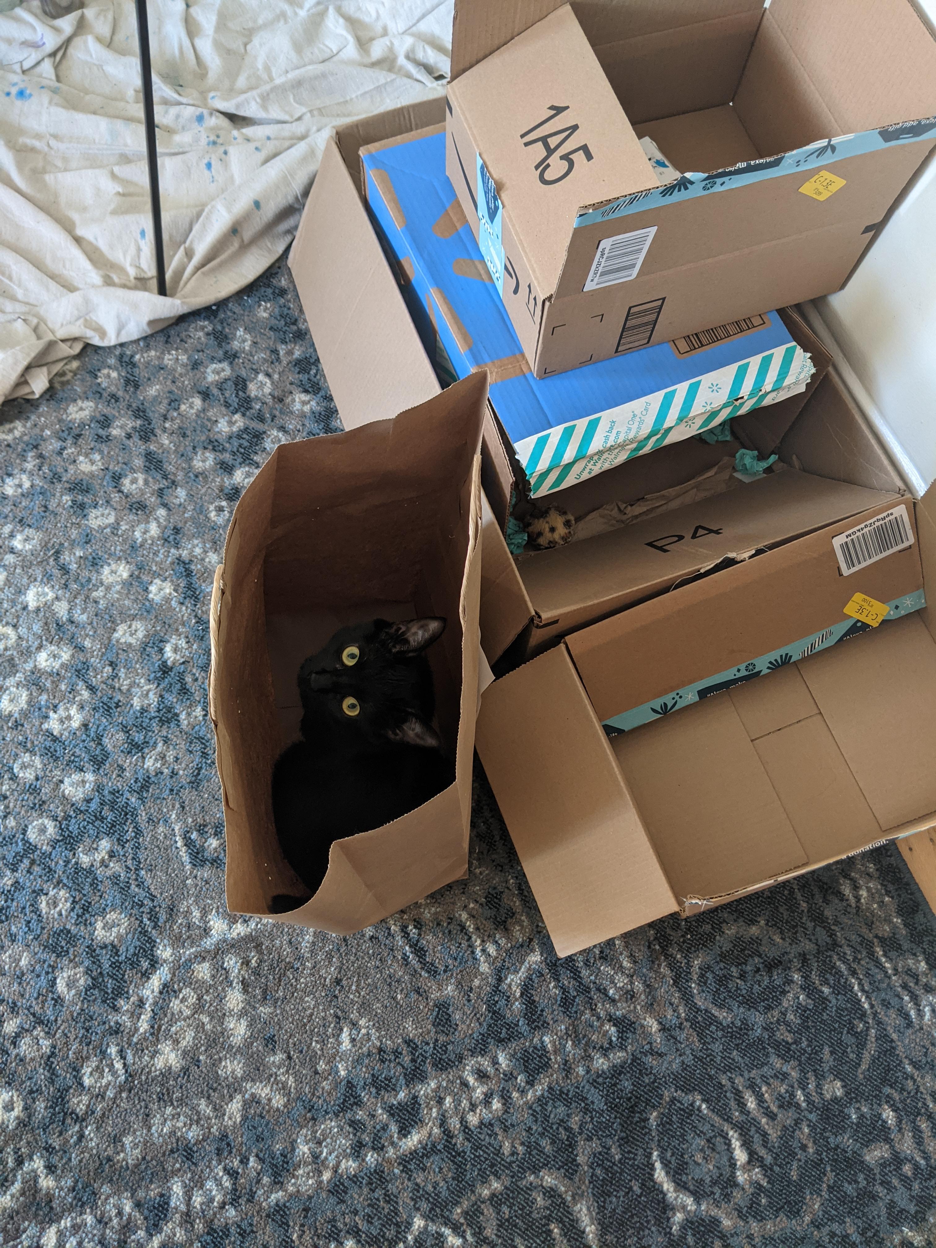Baby loves her box fort | Scrolller