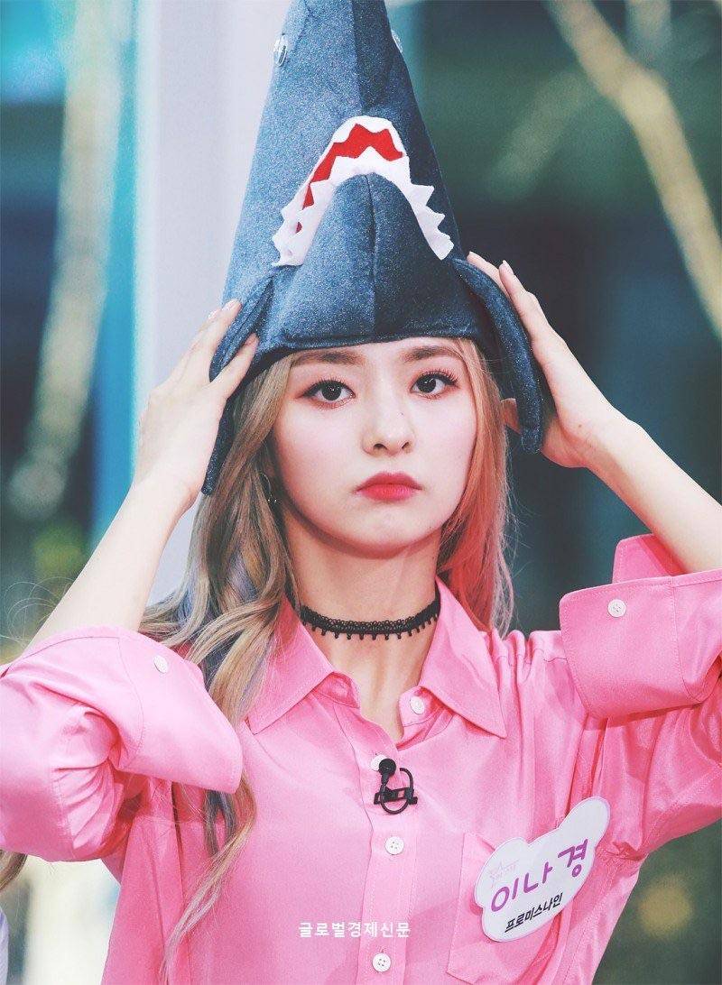 Baby Shark, du da du da ru | Scrolller