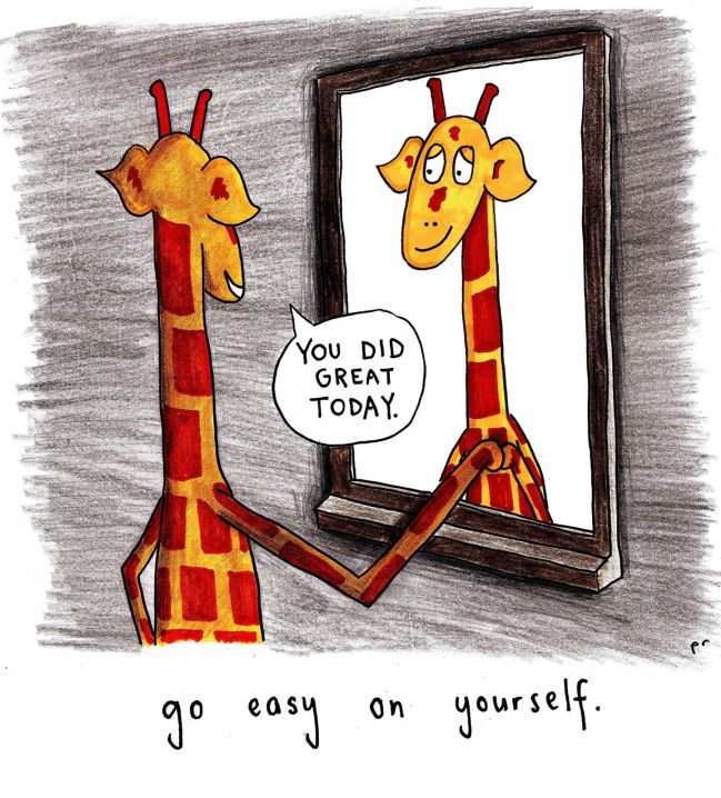 Back again with giraffe | Scrolller