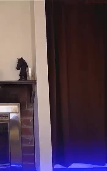 Back & Forth | Scrolller