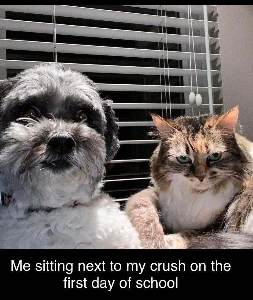 Back to school | Scrolller