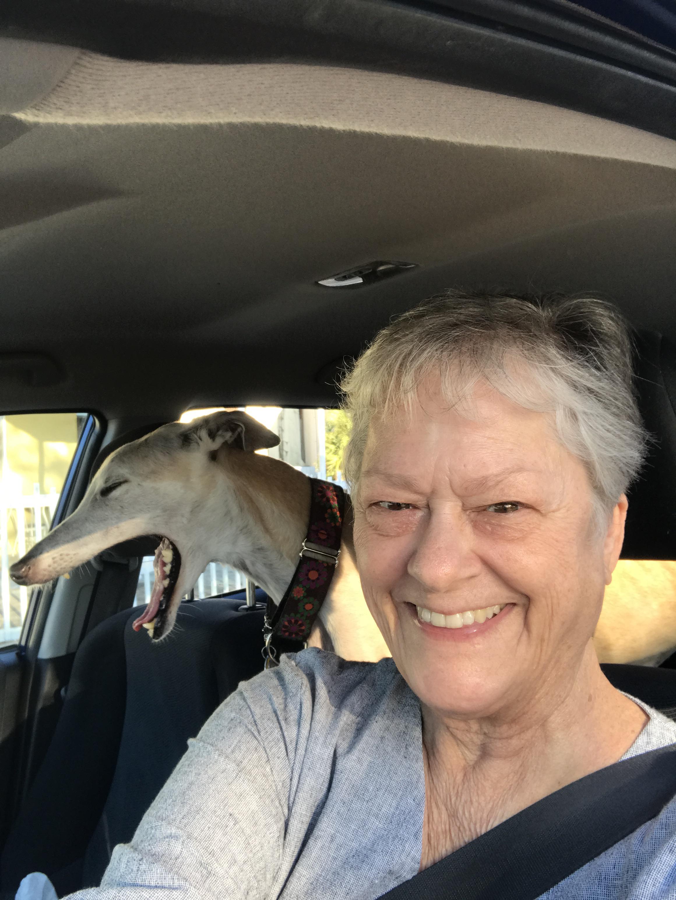 Backseat driver. At it again. | Scrolller