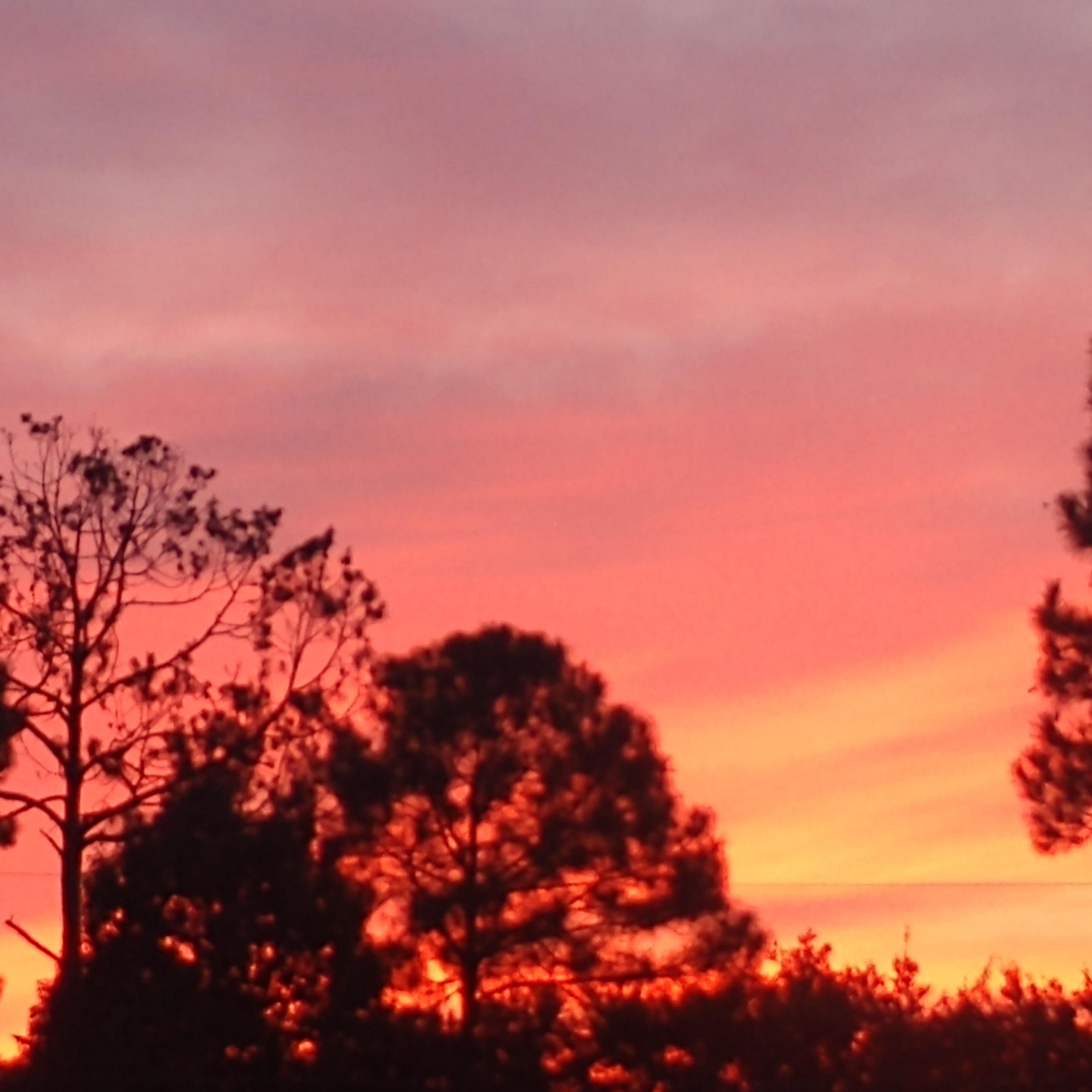 backyard sunset | Scrolller